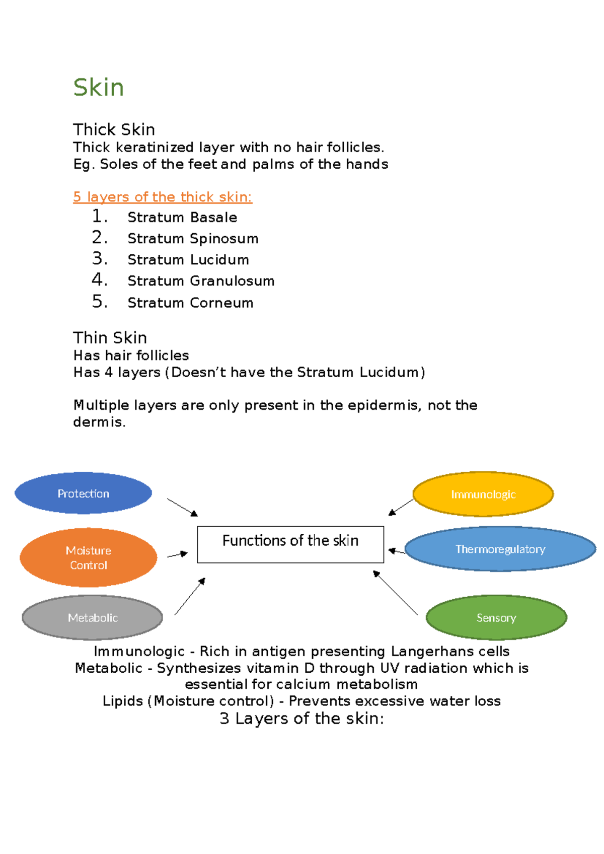 1. Skin Histology - summary - Skin Thick Skin Thick keratinized layer ...
