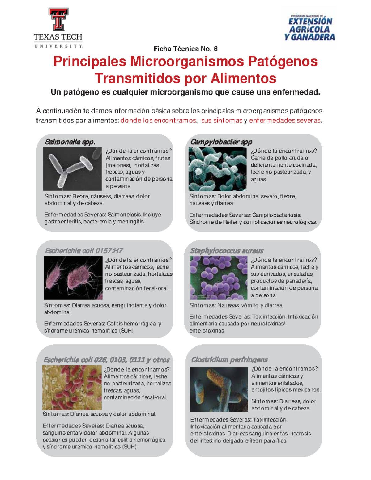 Microoranimos patogenos - Ficha Técnica No. 8 Principales ...
