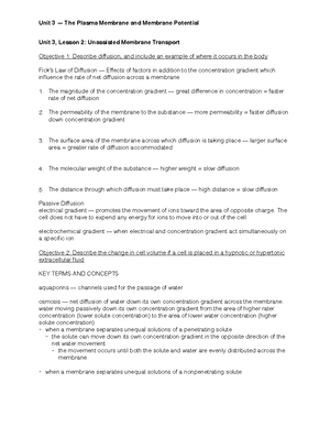 ENGL1101 Reverse Outline Reference - ENGL 1101: Introduction to University Writing 1 Reverse ...