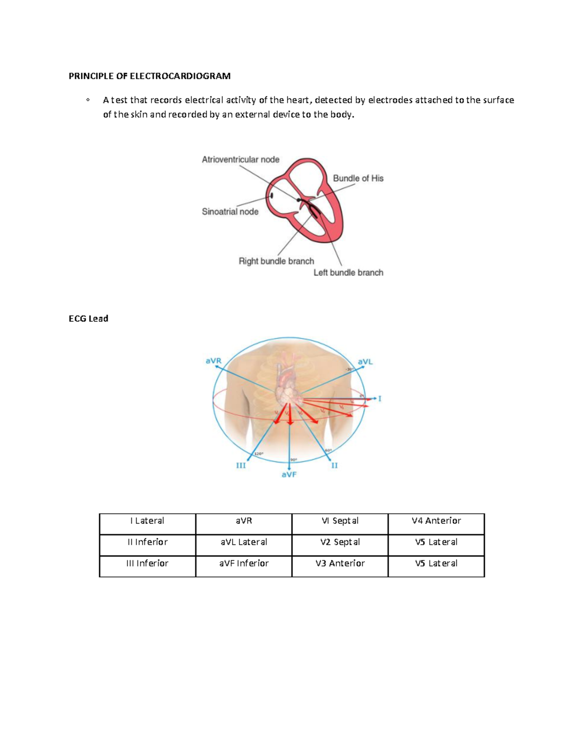 Principle OF Electrocardiogram - PRINCIPLE OF ELECTROCARDIOGRAM A test ...