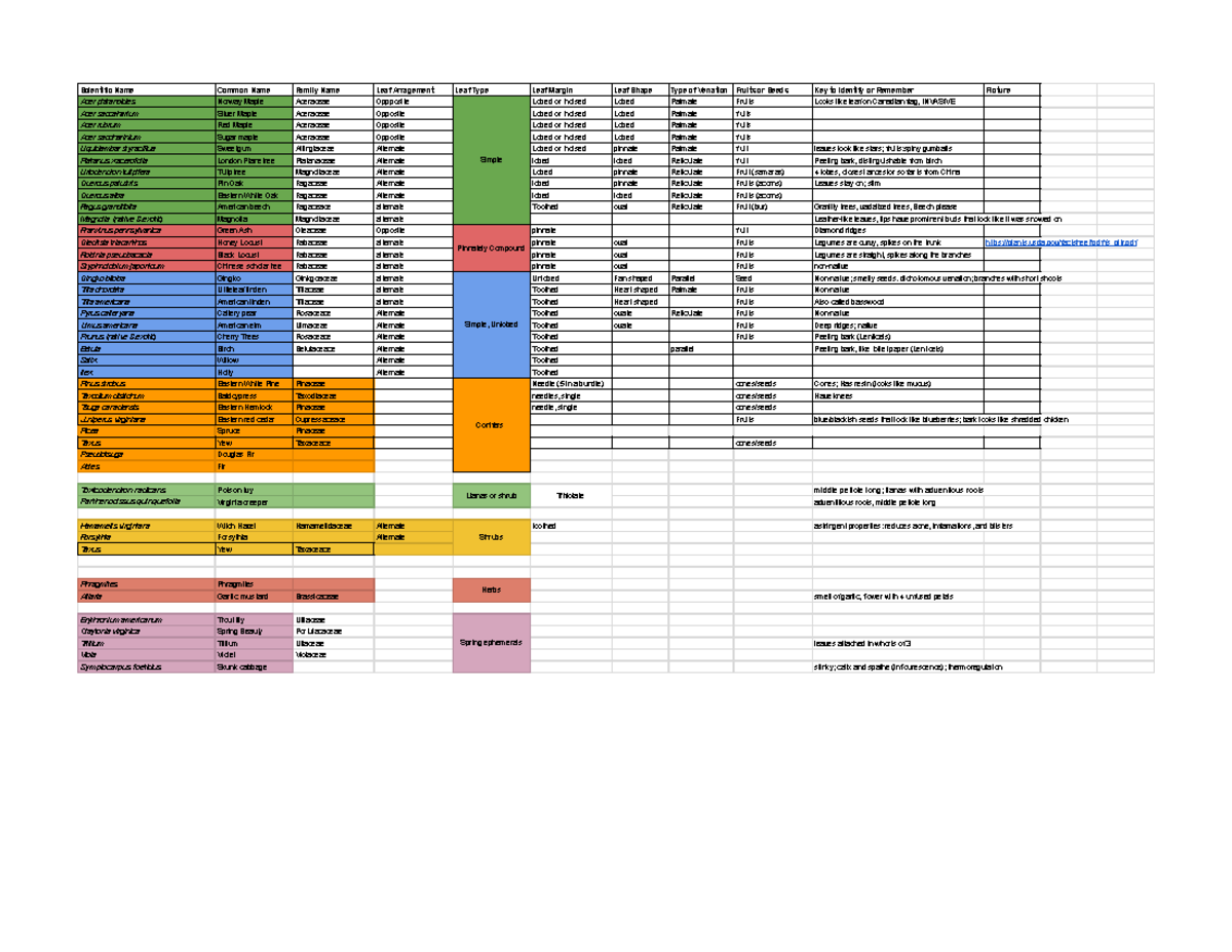 Botany Trees Study Guide - Sheet 1 - Scientific Name Common Name Family ...