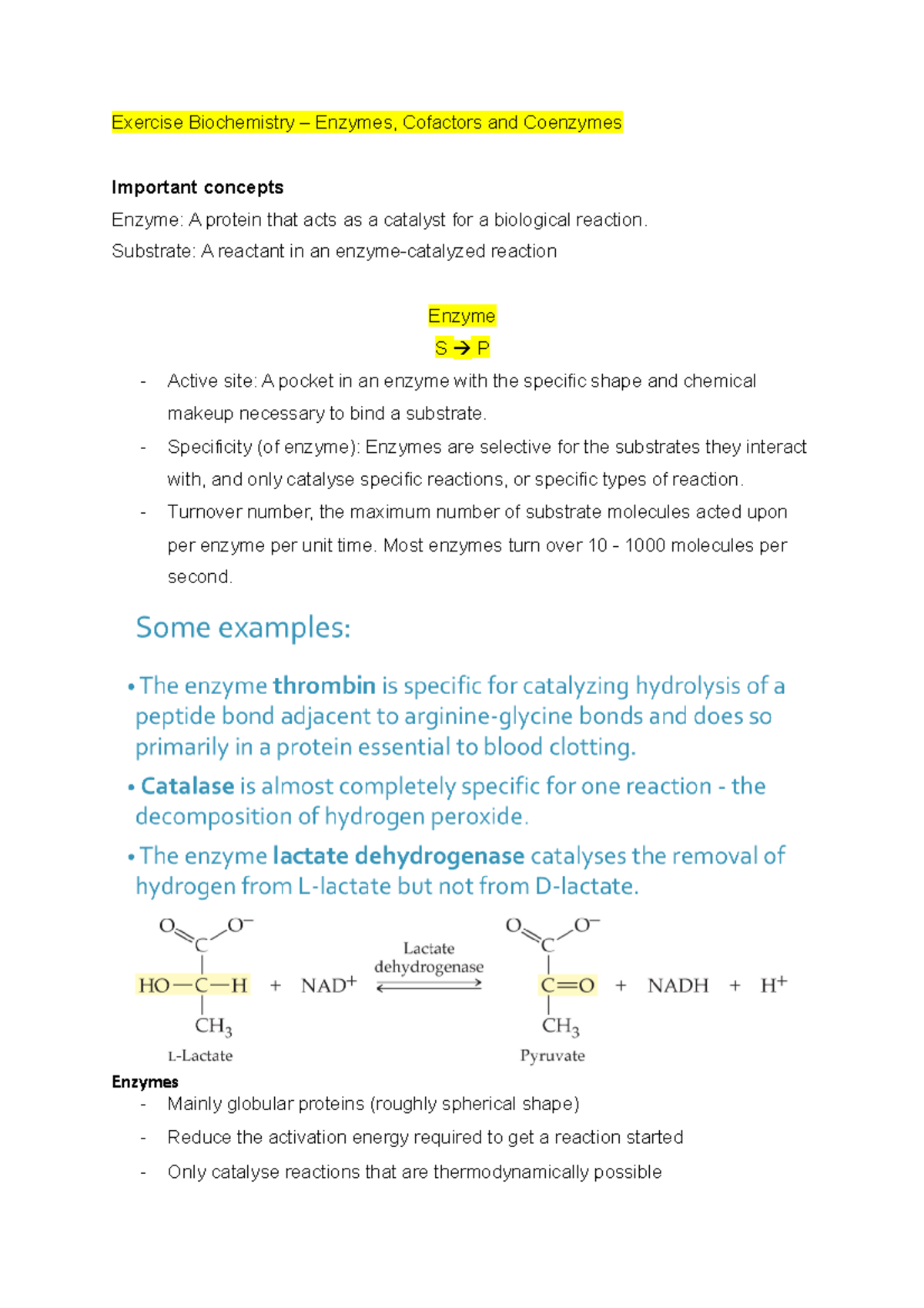 Exercise Biochemistry – Enzymes, Cofactors and Coenzymes - Substrate: A ...