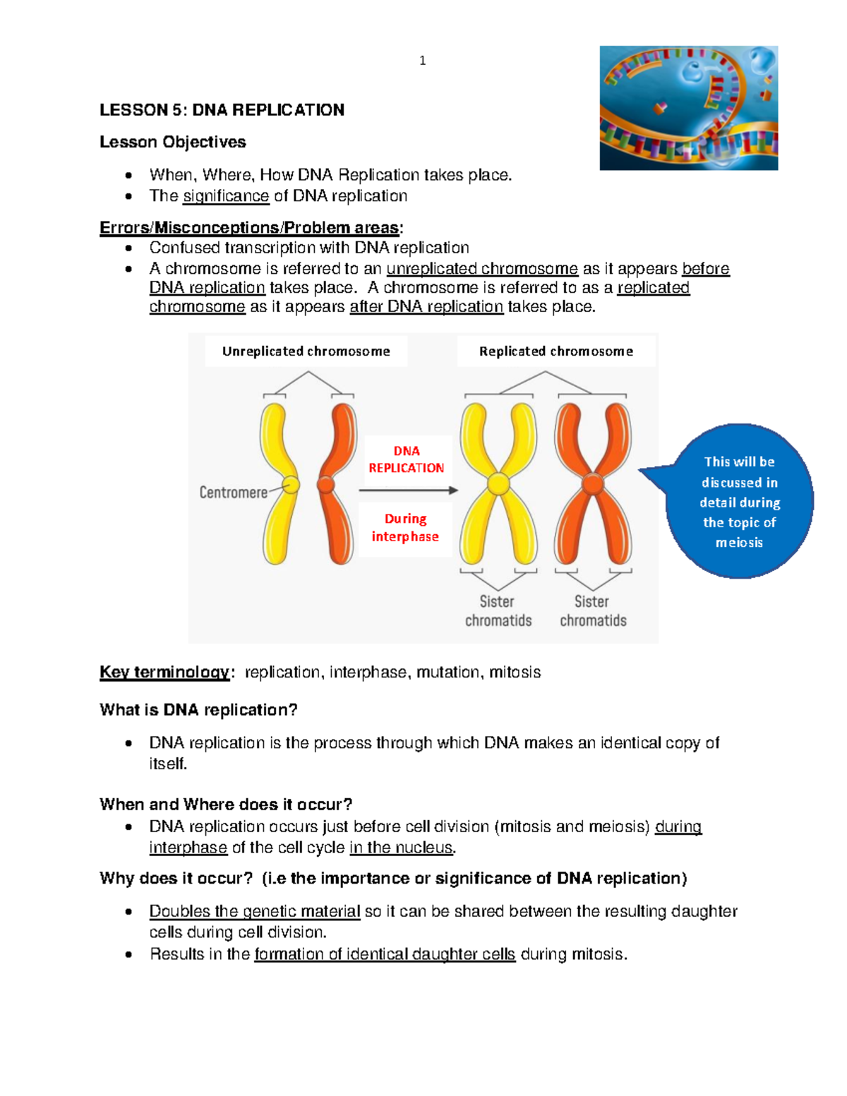 Lesson 5 DNA Replication learner copy - LESSON 5: DNA REPLICATION ...