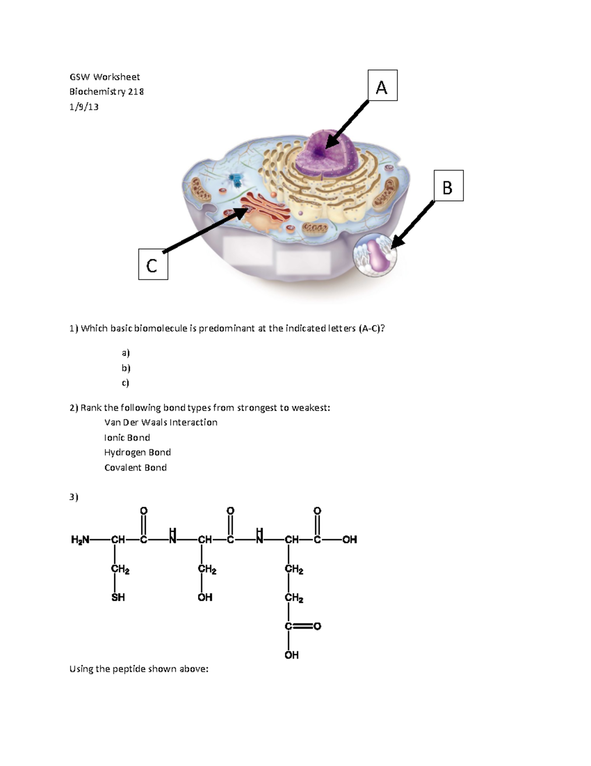 Week 1 - GSW worksheet - GSW Worksheet Biochemistry 1/9/ Which basic ...