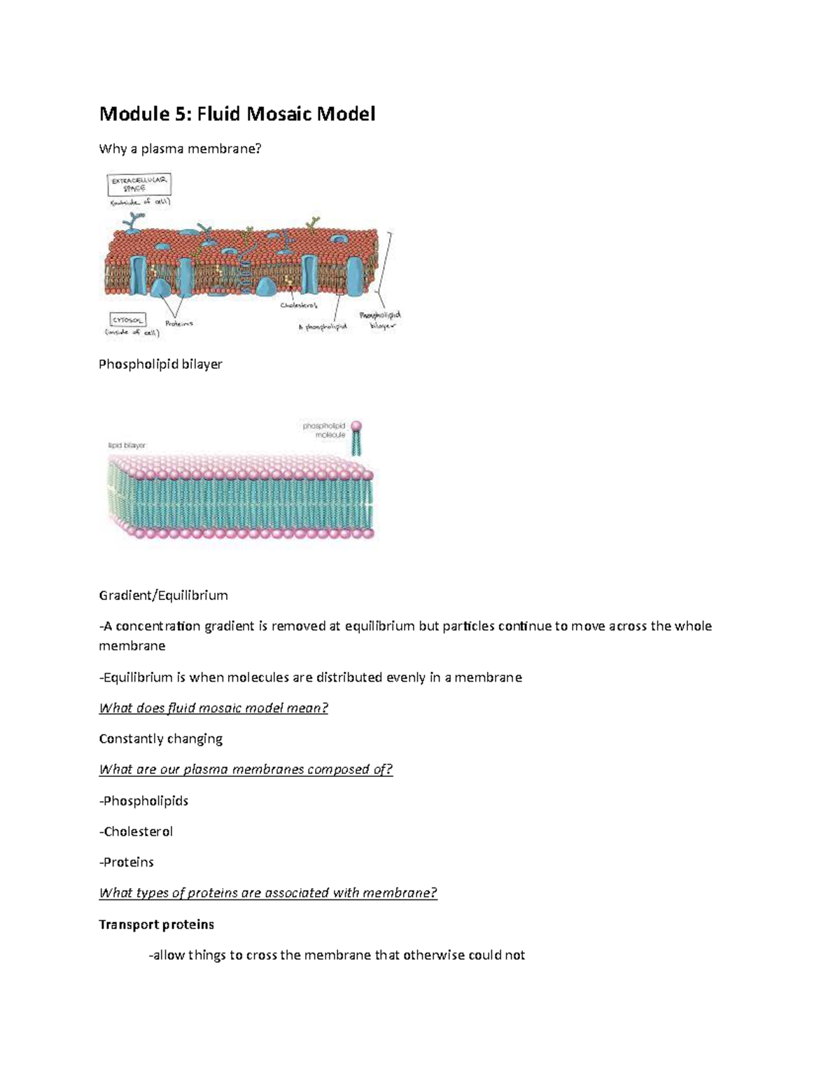 Module 5 - In class lecture notes - Module 5: Fluid Mosaic Model Why a ...