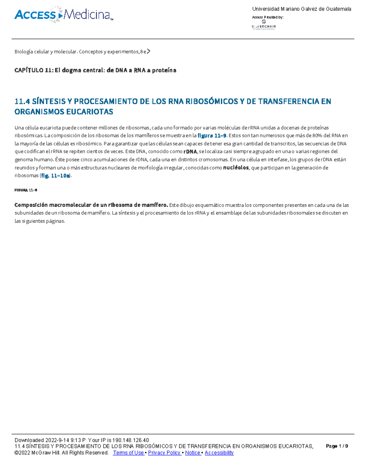 11.4 SÍ Ntesis Y Procesamiento DE LOS RNA Ribosó Micos Y DE ...