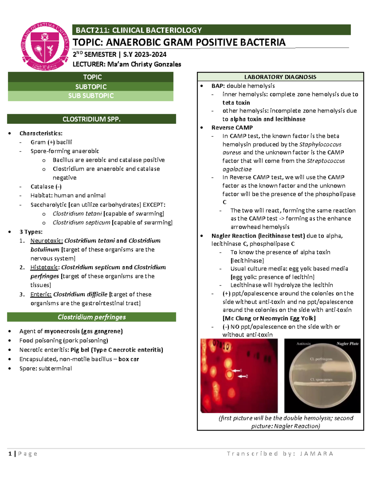 3 - Anaerobic GRAM Positive Bacilli - 1 | P a g e T r a n s c r i b e d ...
