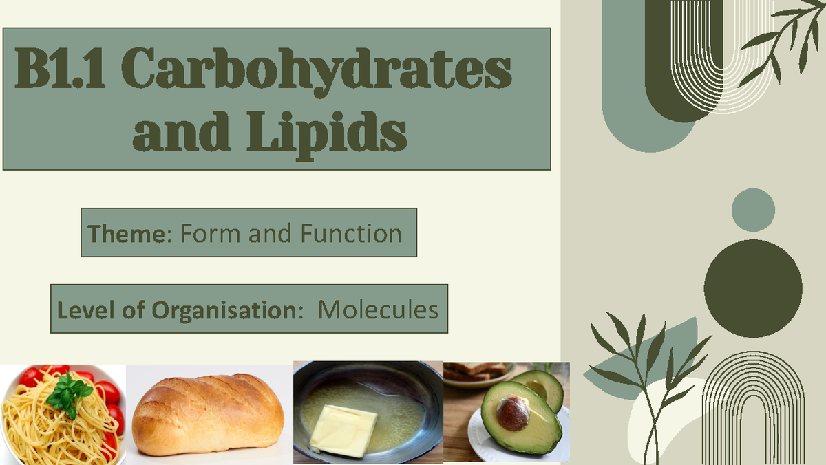 B1.1 Carbohydrates and Lipids - B1 Carbohydrates and Lipids Theme: Form ...