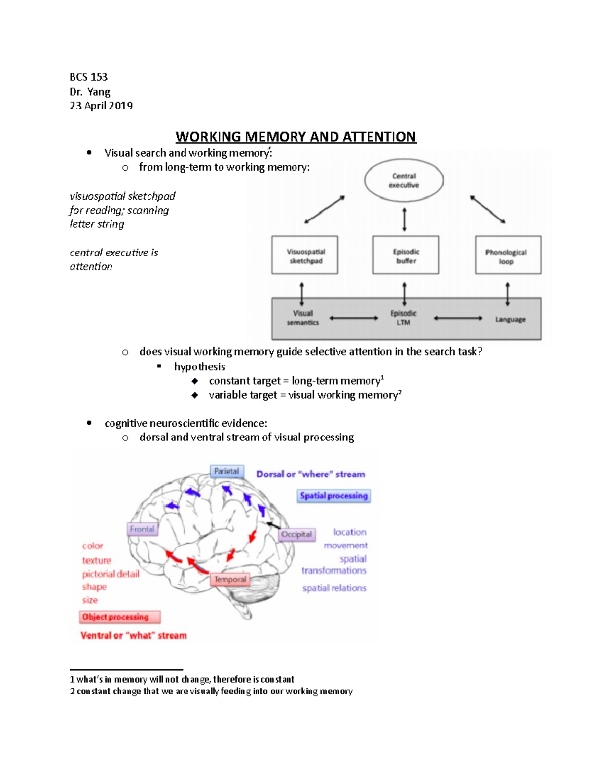 Working Memory and Attention - BCS 153 Dr. Yang 23 April 2019 WORKING ...