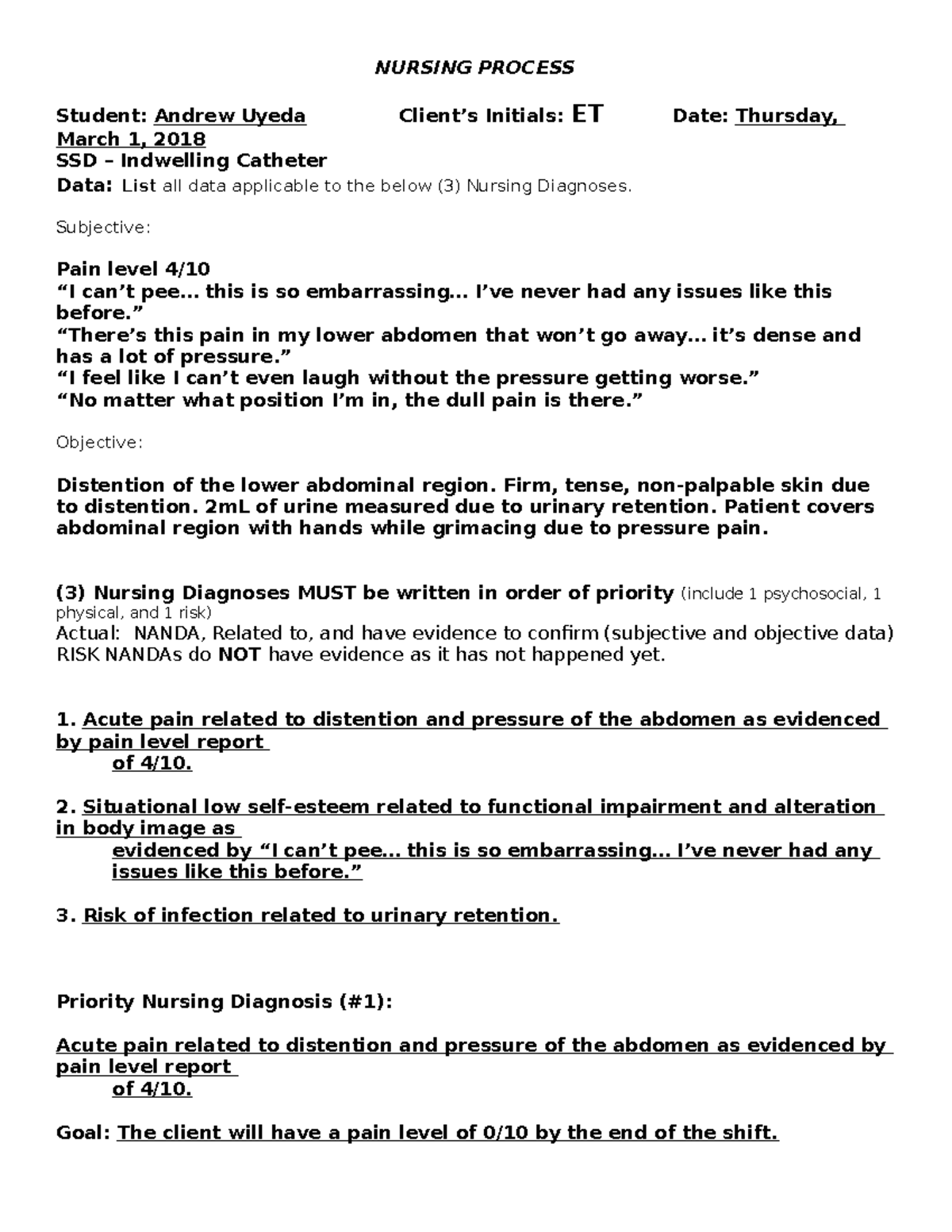 Nursing Process Form - SSD Indwelling Catheter - NURSING PROCESS ...