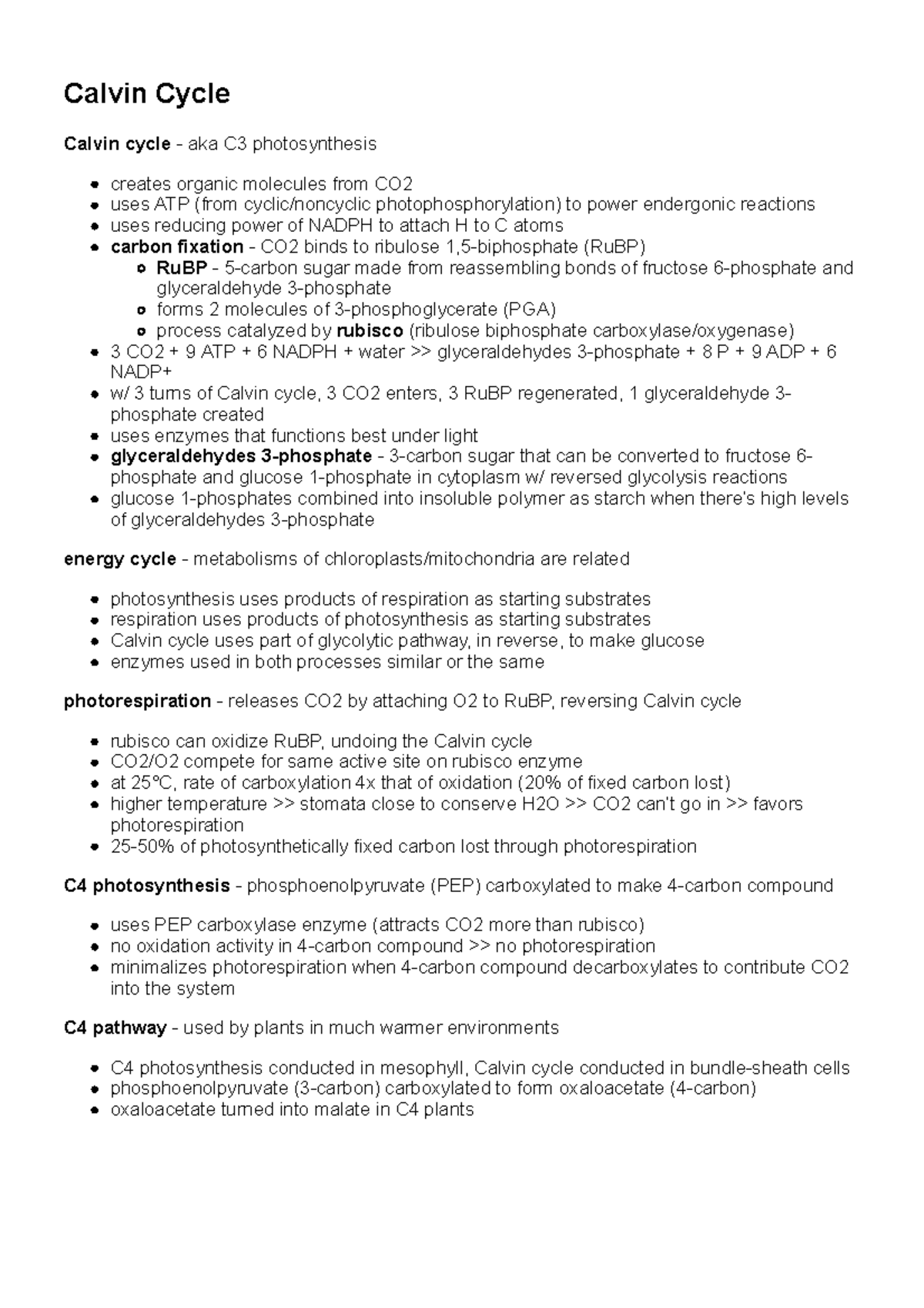 Calvin Cycle - Studocu
