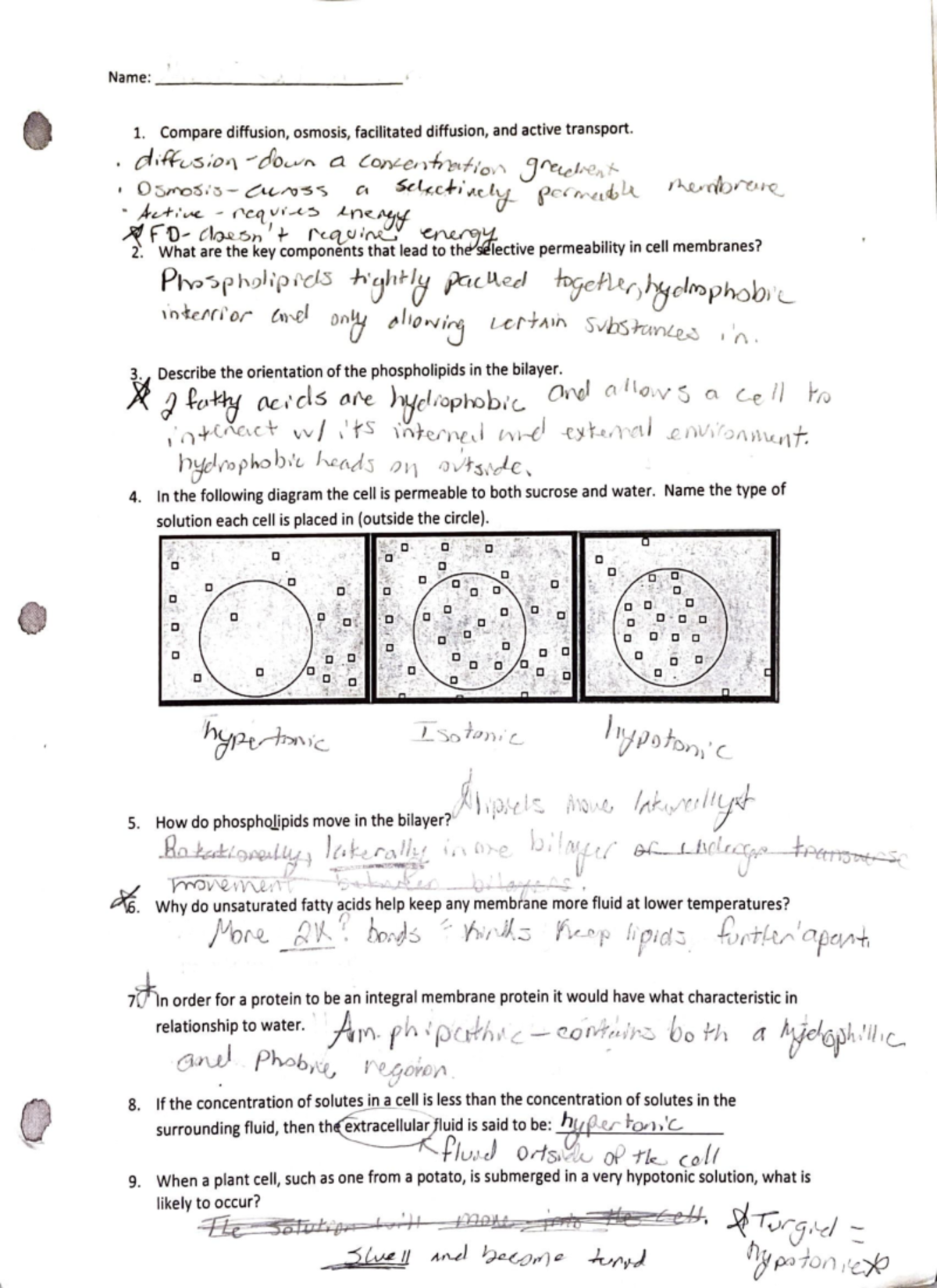 Completed diffusion lab - 0 Name:-'- 1. Compare diffusion, osmosis ...