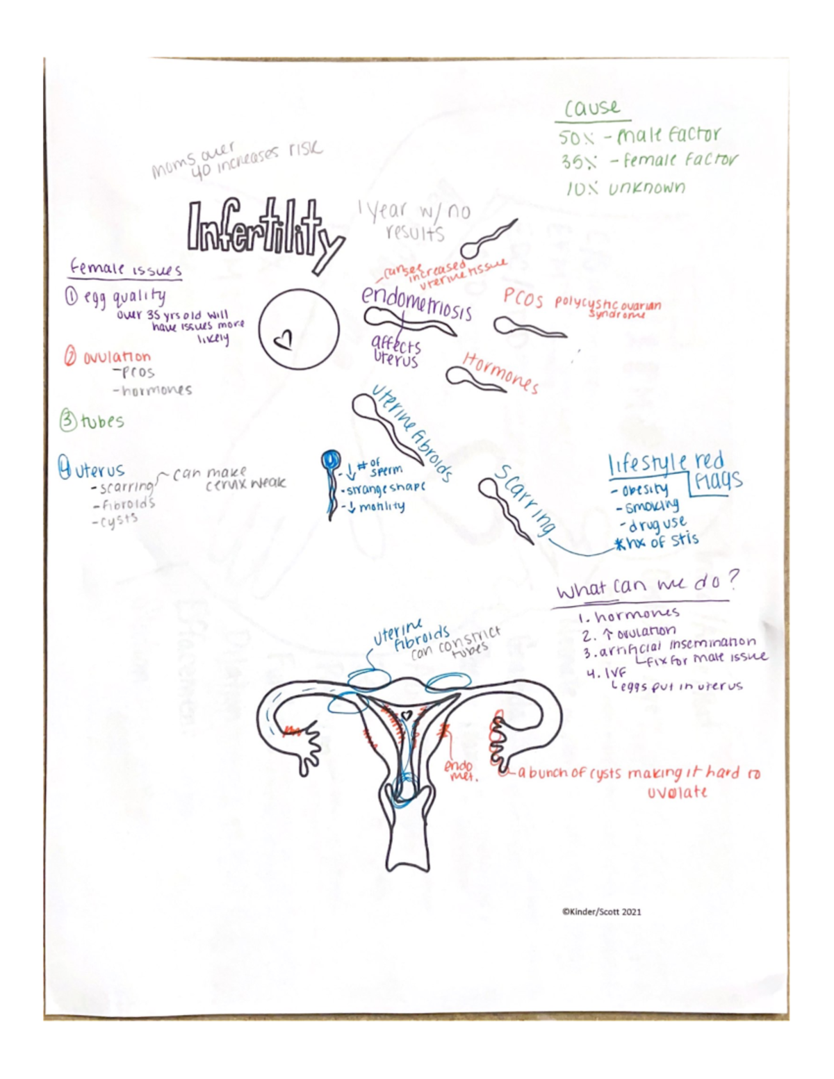 Week 1 Day 1 CN - Infertility Notes NR327 - NR-327 - Chamberlain ...