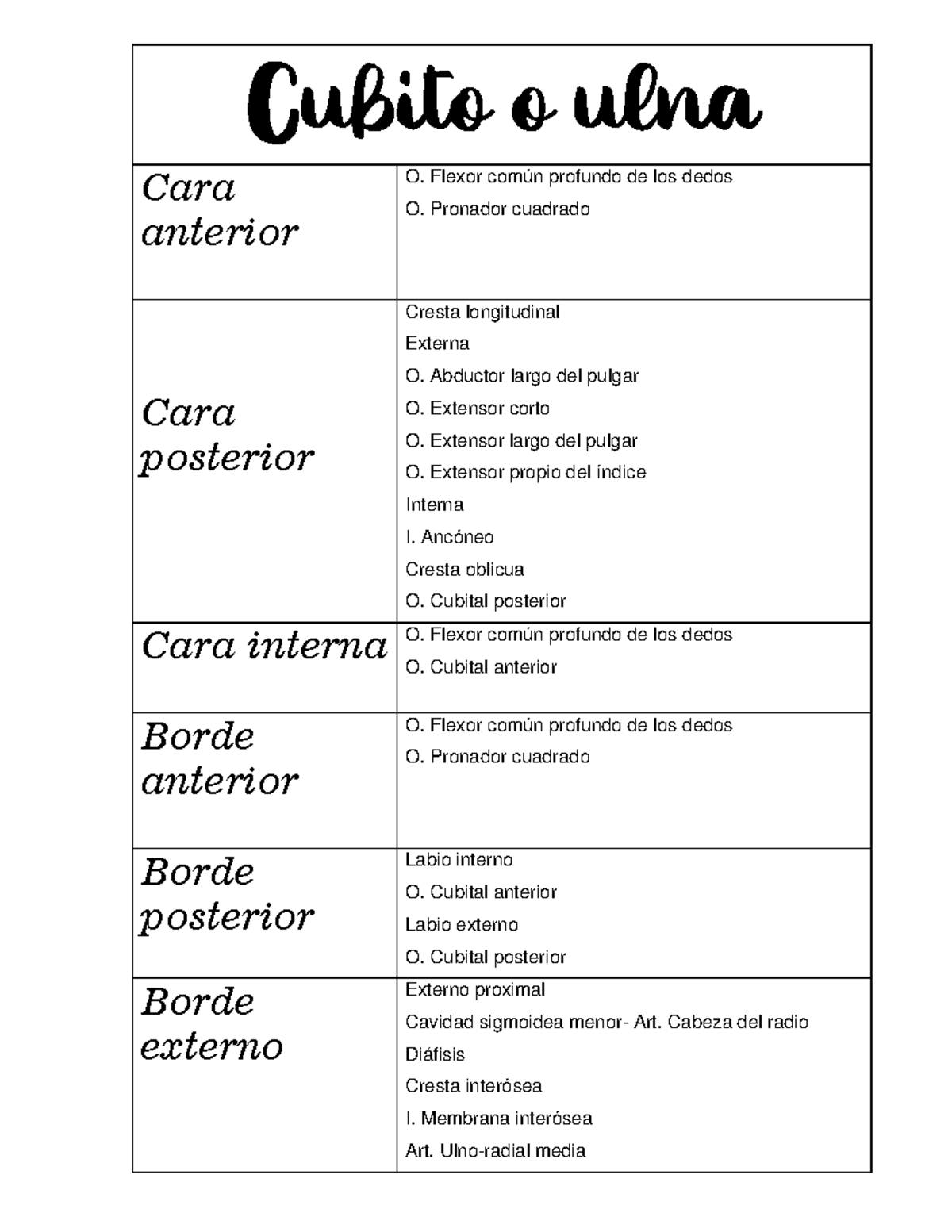 Hueso antebrazo cubito o ulna - Anatomía 1 - UAEM - Studocu