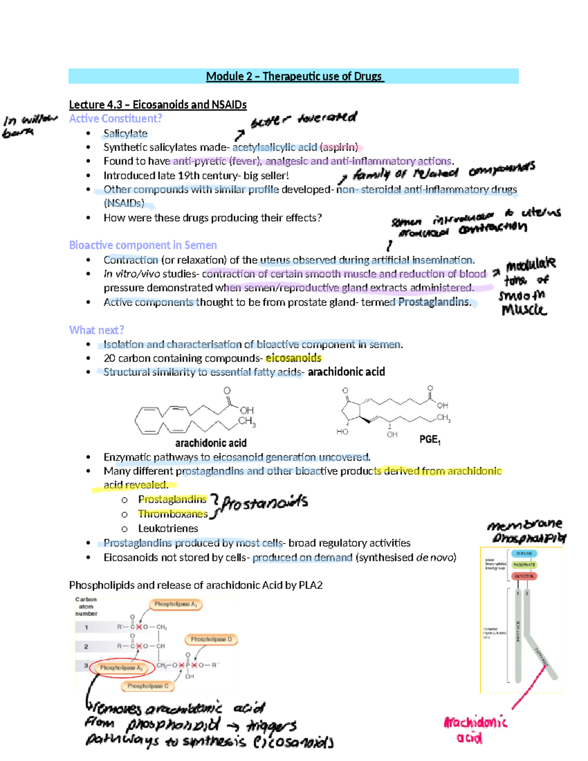 Pharm - mod 2 - Mod 2 notes - Module 2 – Therapeutic use of Drugs ...