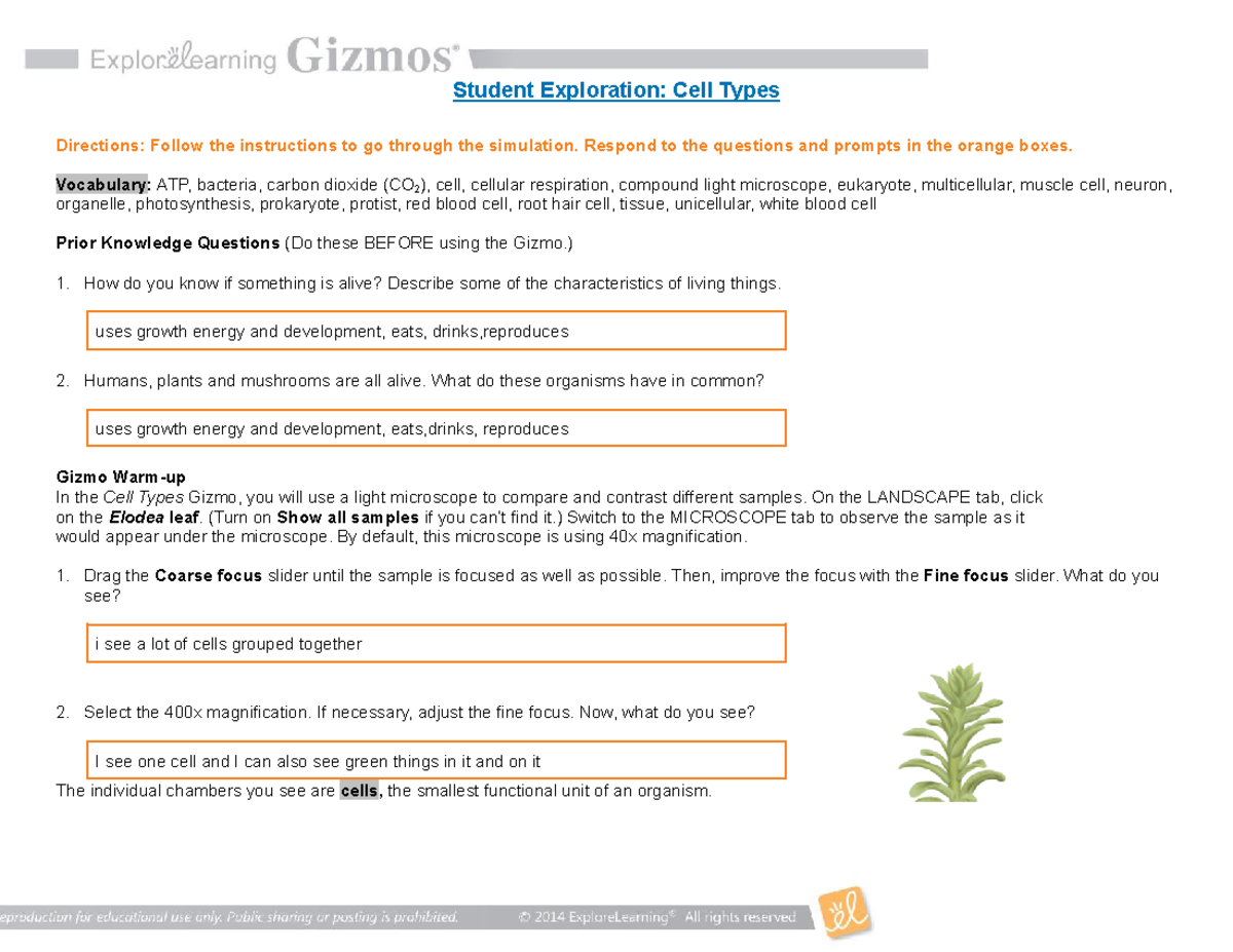 Cell Types Gizmo Graphic Organizer Argumentation - Student Exploration ...