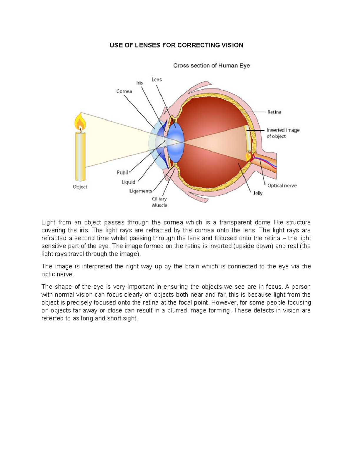 USE OF Lenses FOR Correcting Vision - USE OF LENSES FOR CORRECTING ...