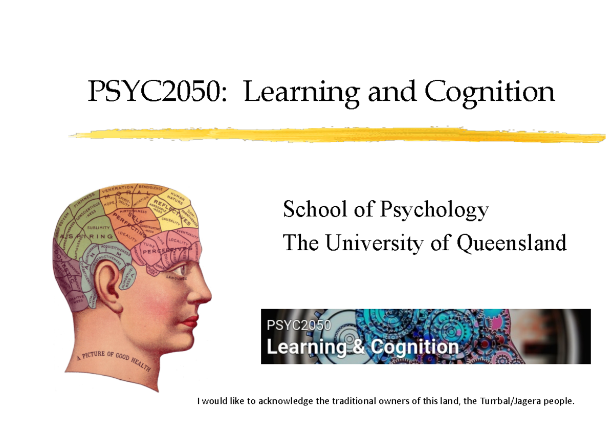Lec 1 - Lec 1 - PSYC2050: Learning and Cognition School of Psychology The University of ...