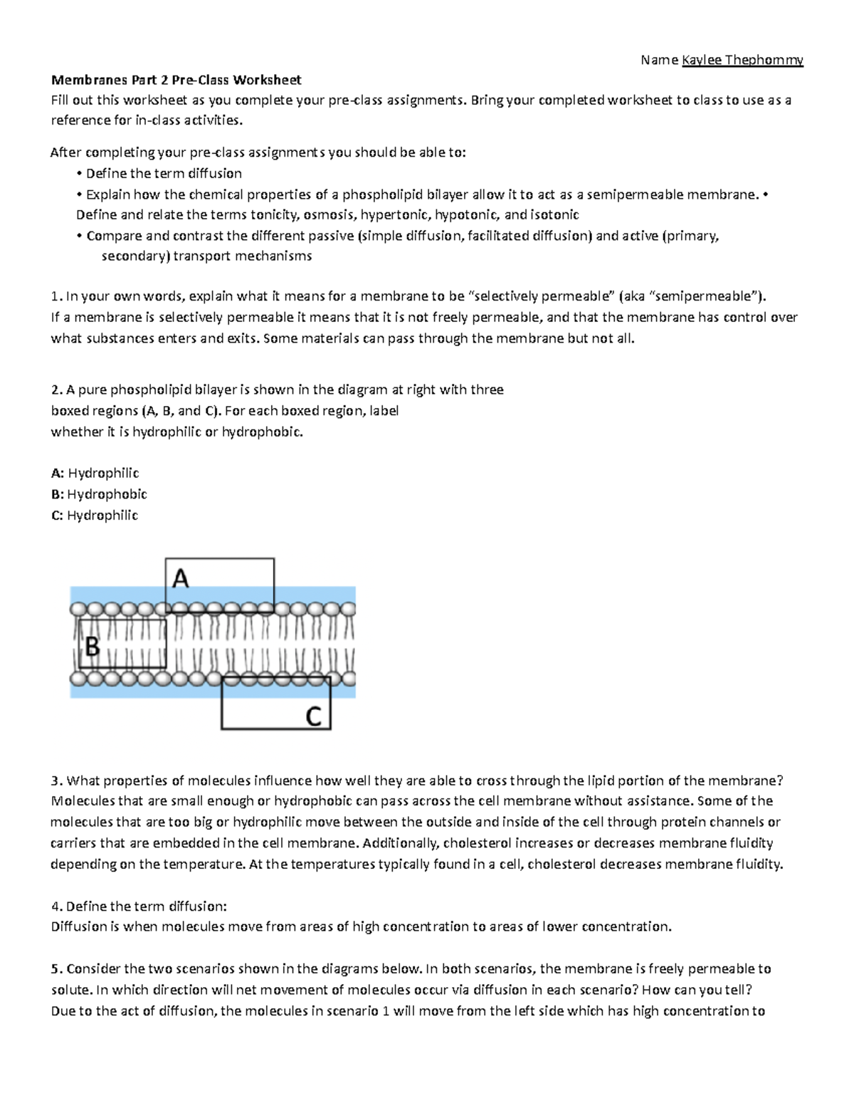 Week 2b Membranes 2 Reading Guide - Name Kaylee Thephommy Membranes ...