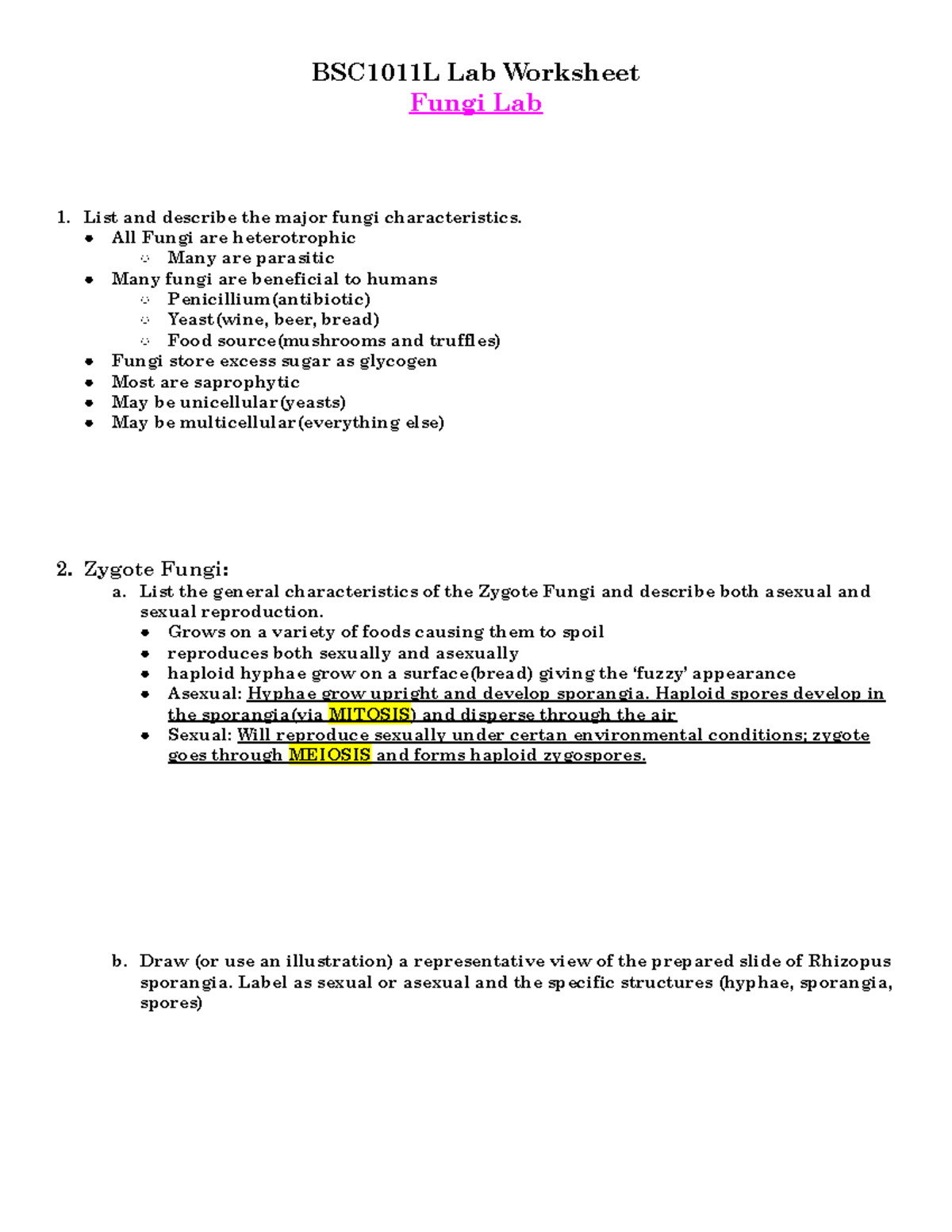 Fungi Worksheet - Lab Report - BSC1011L Lab Worksheet Fungi Lab List ...