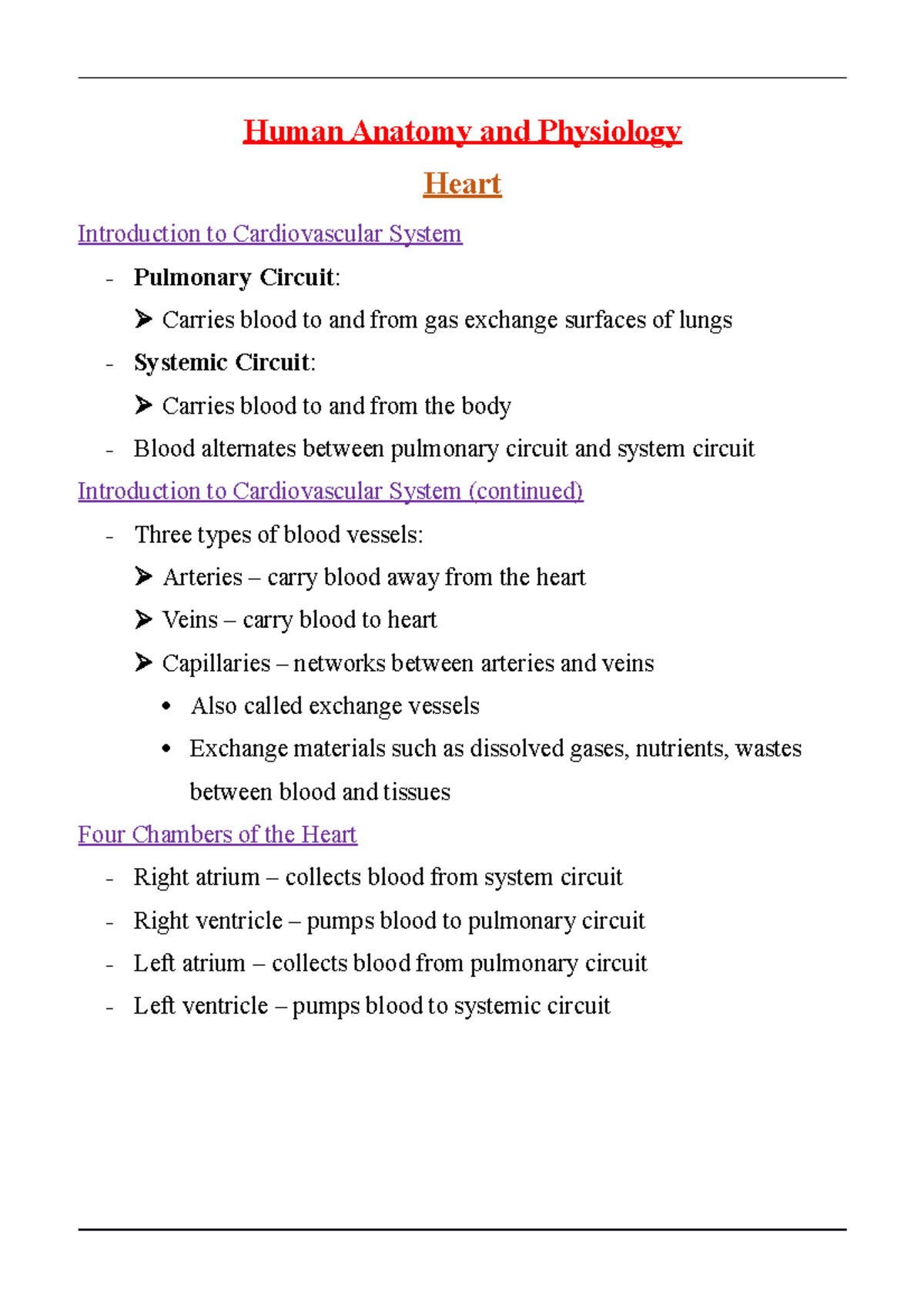 Human Anatomy and Physiology Summary Heart - Human Anatomy and ...