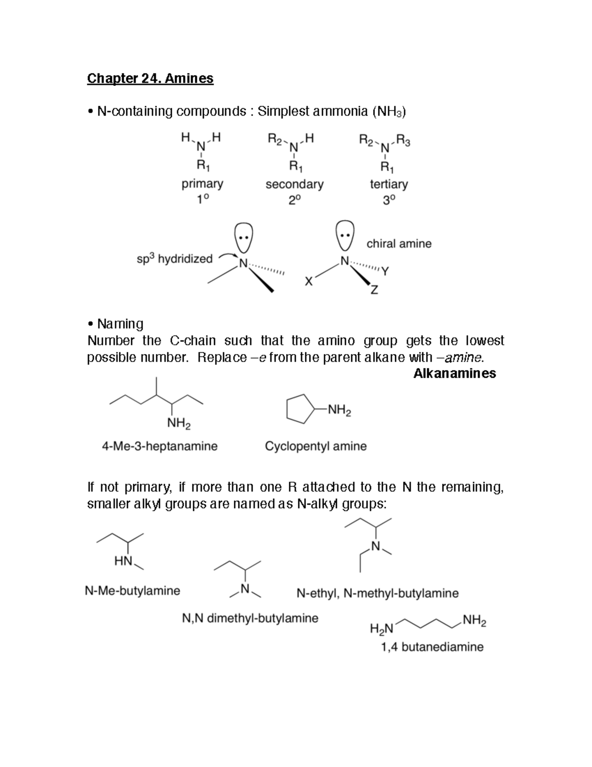 Ch25 amines guide - Lecture notes 25 - Chapter 24. Amines N-containing ...