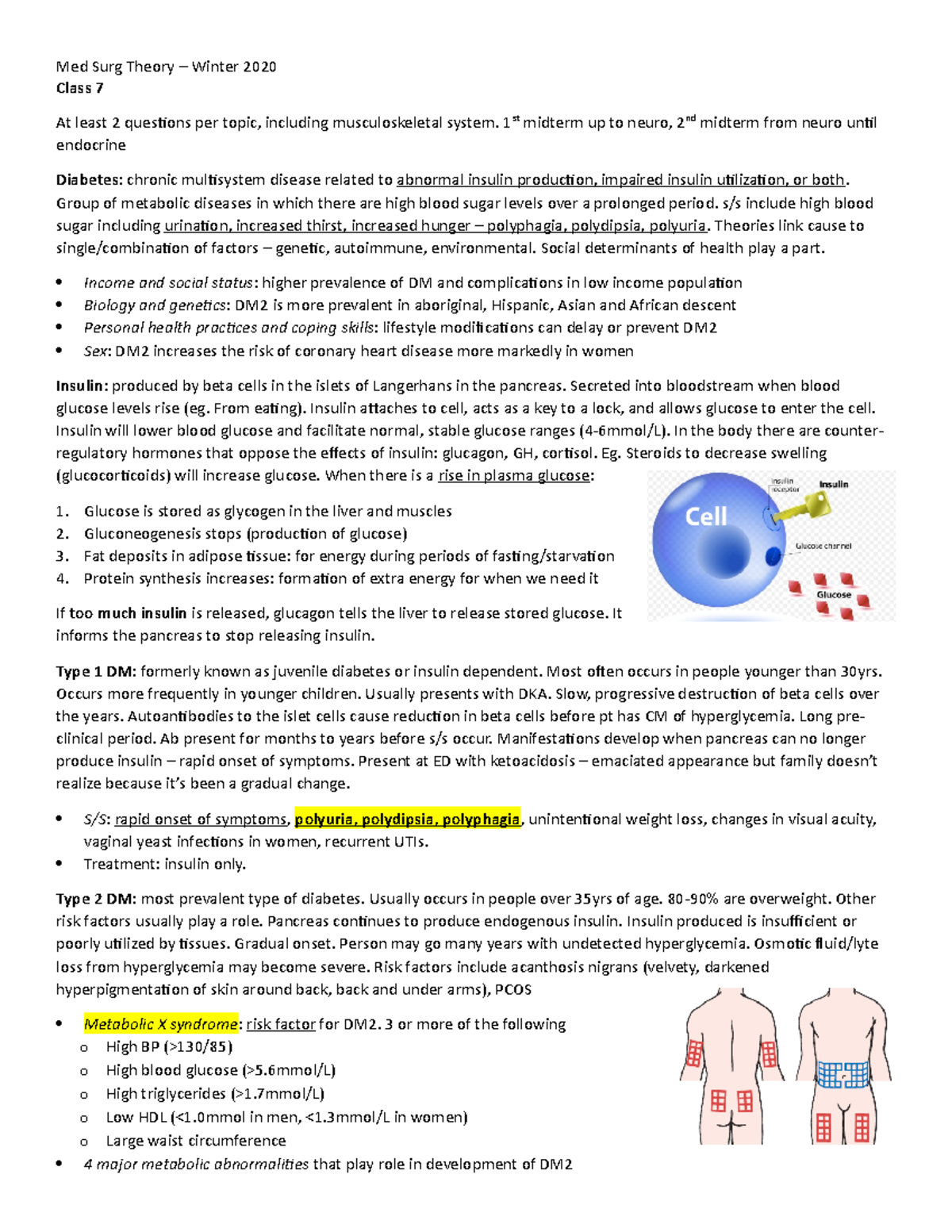 Med Surg Theory Notes - Class 7 - Class 7 At least 2 questions per ...