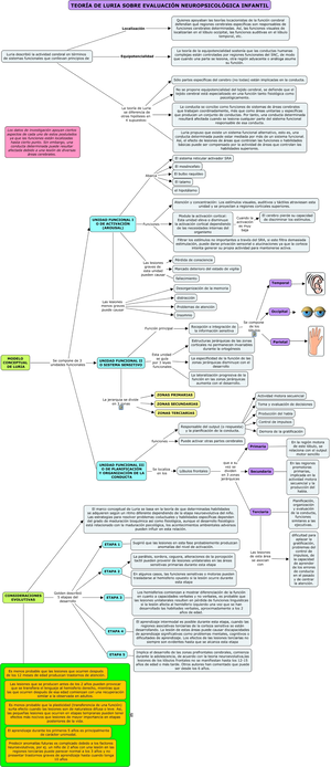 S1A Specification of Cerebral Cortical Areas - Specification of ...