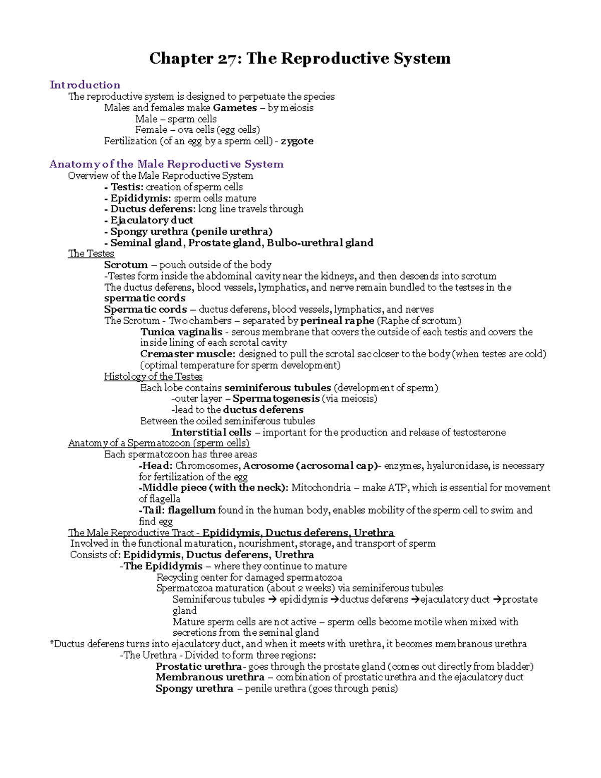 Chapter 27 - The Reproductive System outline - Chapter 27: The ...