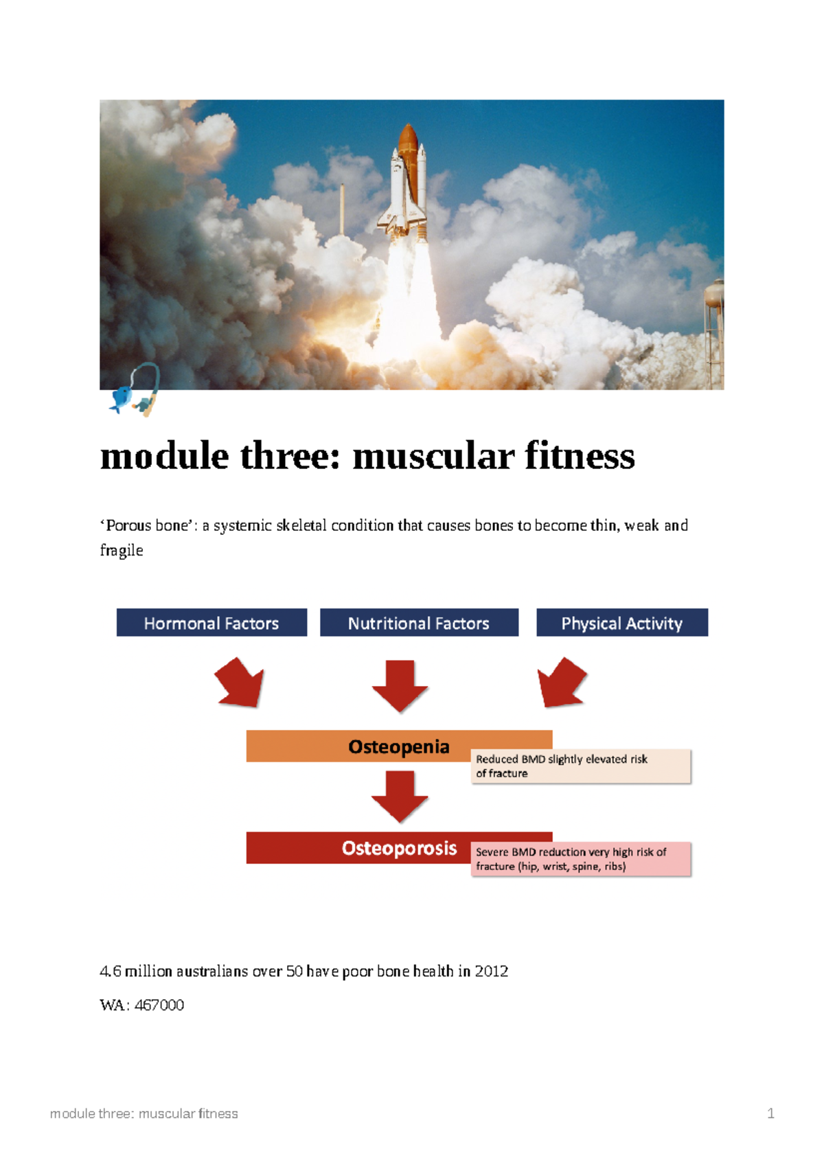 Muscular fitness - module three: muscular fitness ‘Porous bone’: a ...