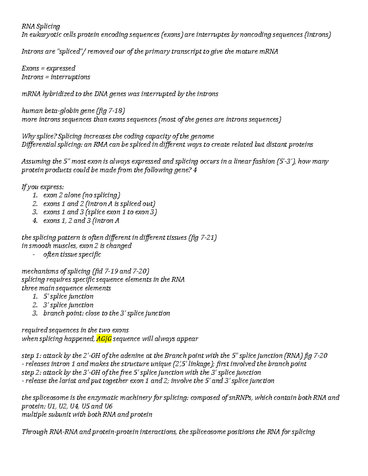 Nov 16 class notes - RNA Splicing In eukaryotic cells protein encoding ...