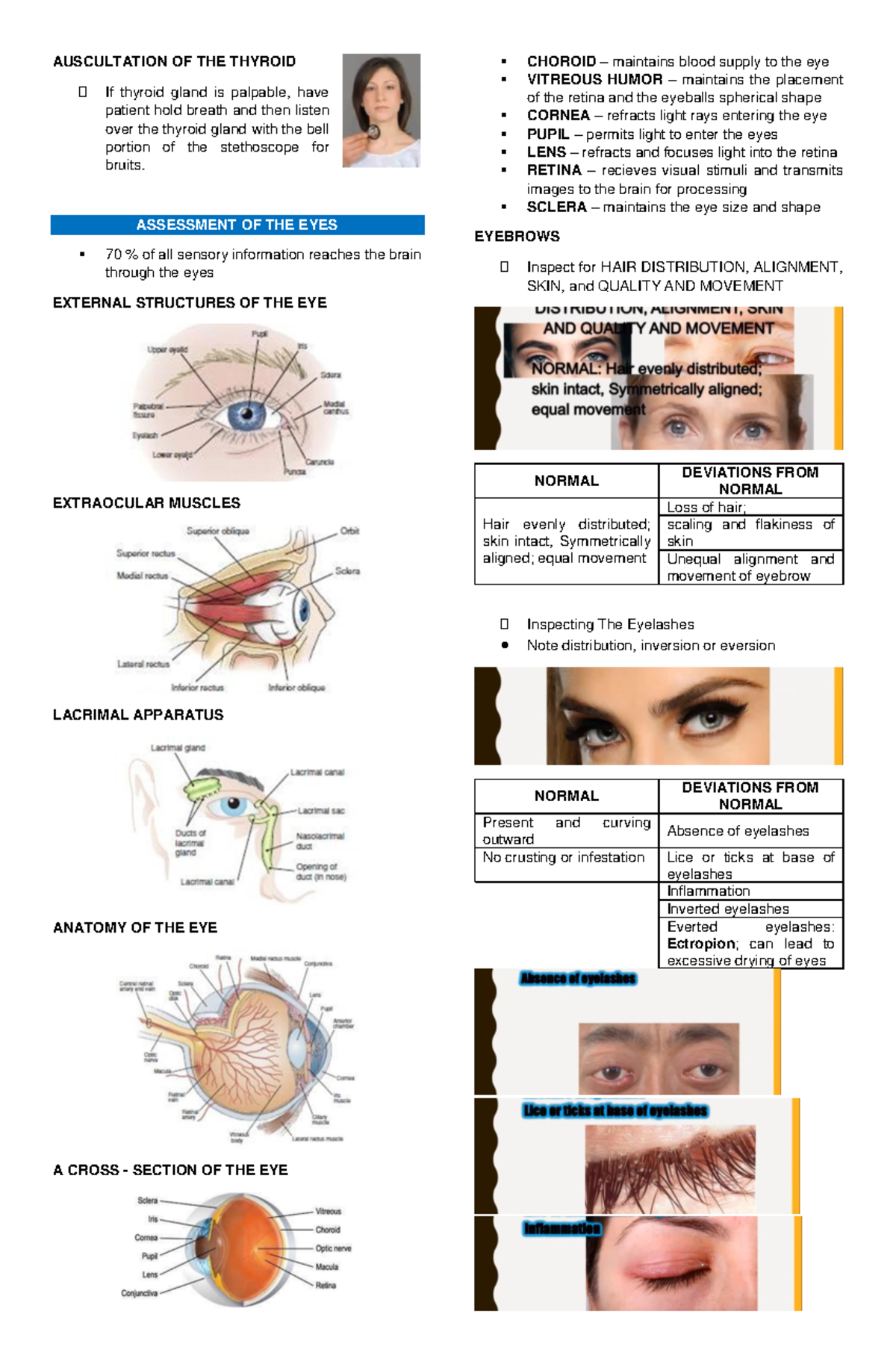 Assessment of the Eyes - AUSCULTATION OF THE THYROID If thyroid gland ...