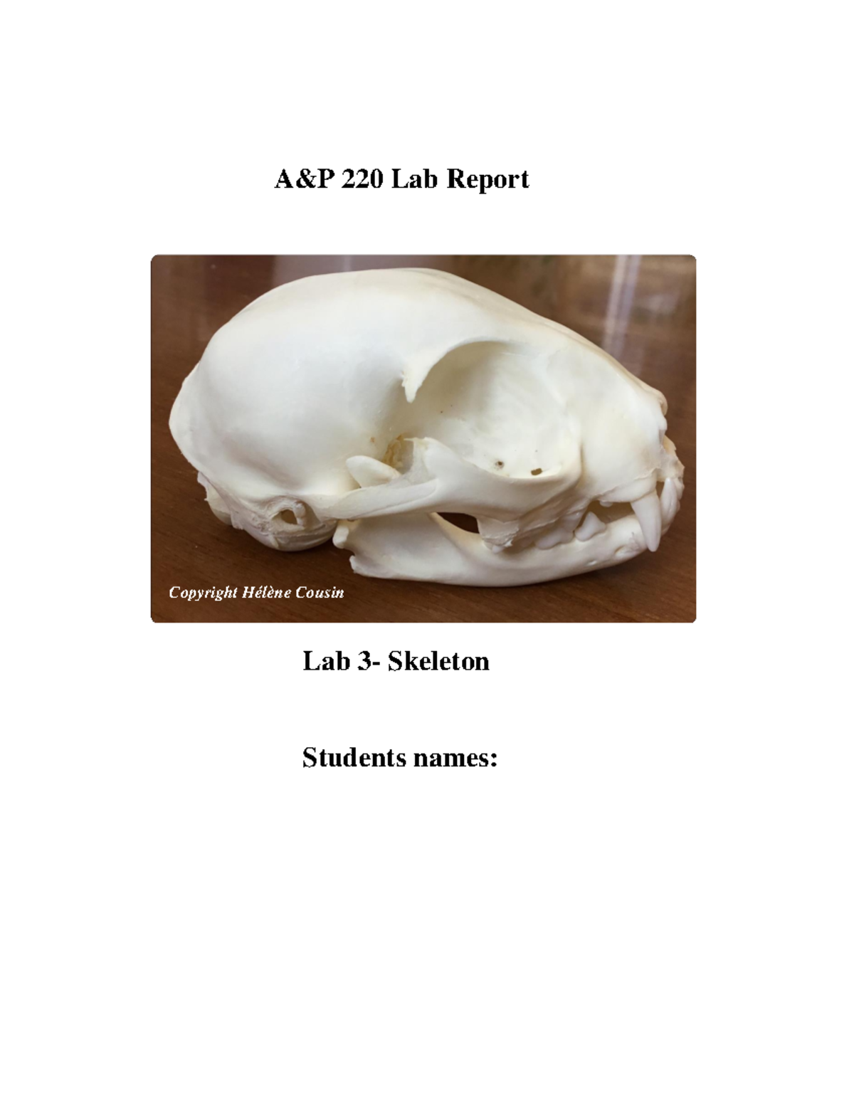 Lab 3- skeleton Report Student - A&P 220 Lab Report Lab 3- Skeleton ...