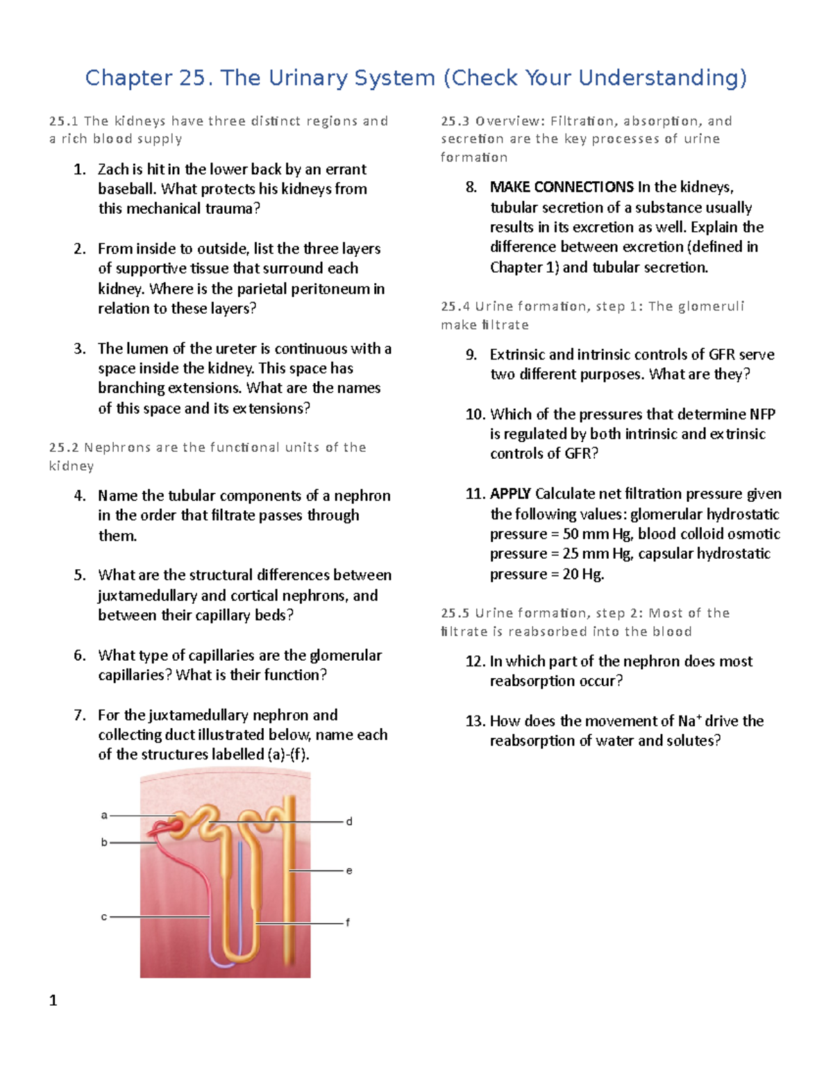 BIOM1060 Textbook - Check Your Understanding (Chap. 25) - Chapter 25 ...