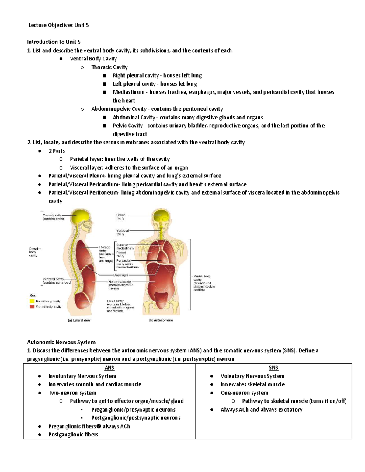Human anatomy Unit 5 summary - Lecture Objectives Unit 5 Introduction ...