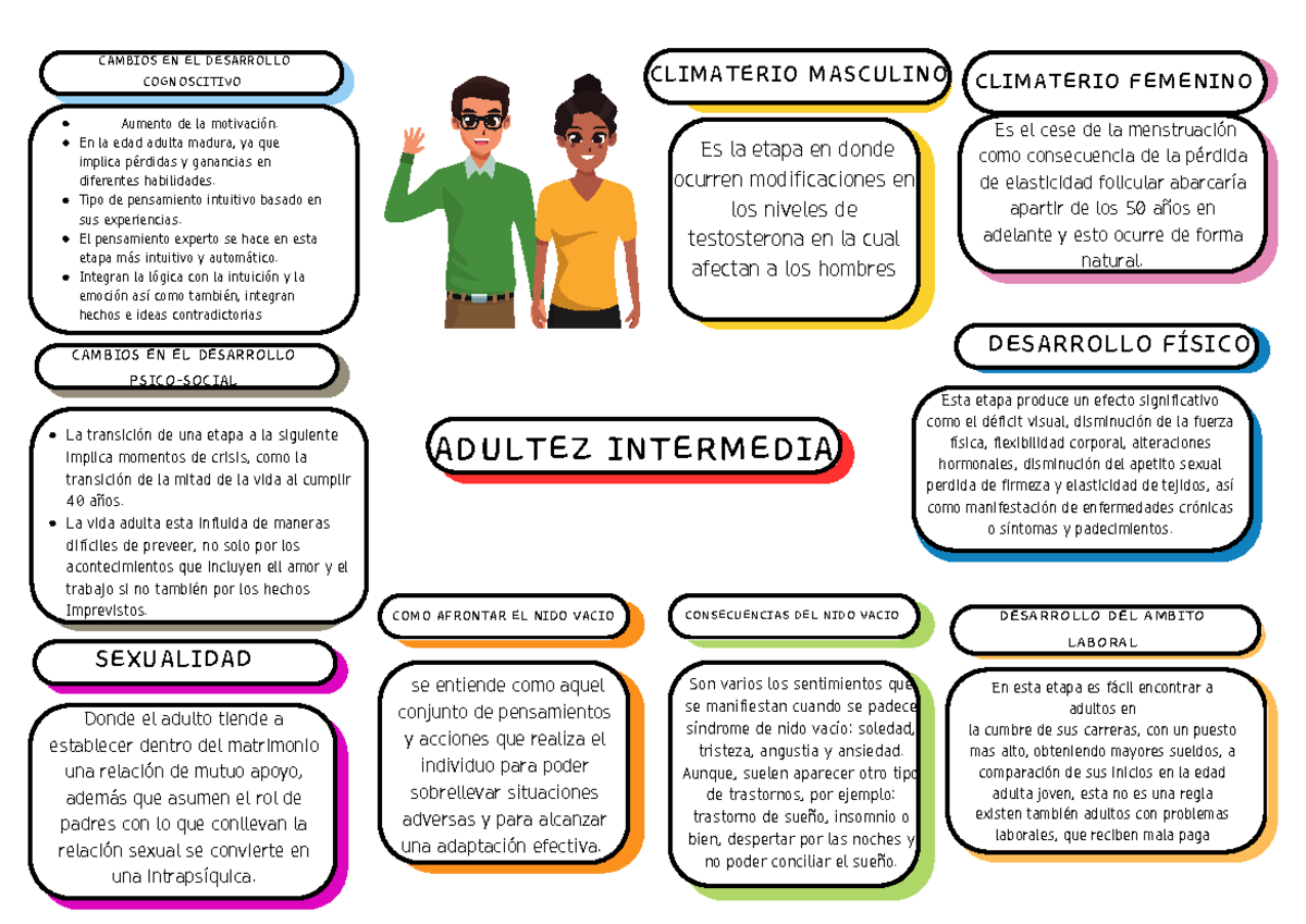 04 - Organizador visual adultez intermedia - ADULTEZ INTERMEDIA CLIMATERIO MASCULINO Es la etapa ...