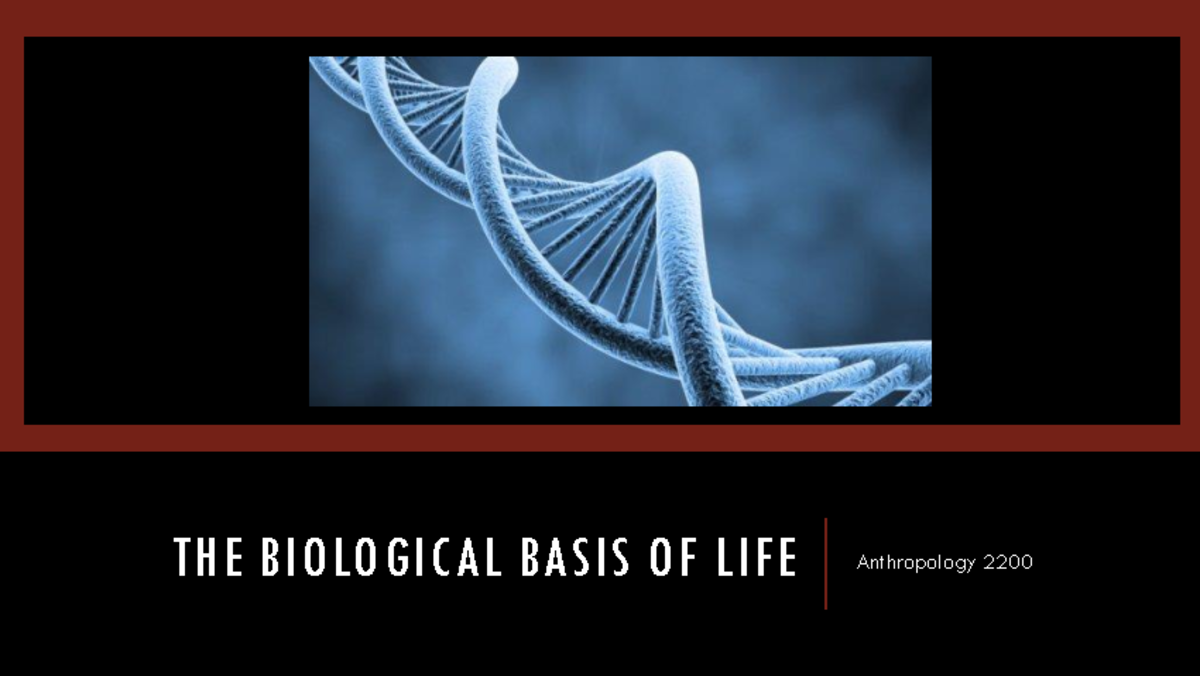 5 The Biological Basis of Life - THE BIOLOGICAL BASIS OF LIFE ...