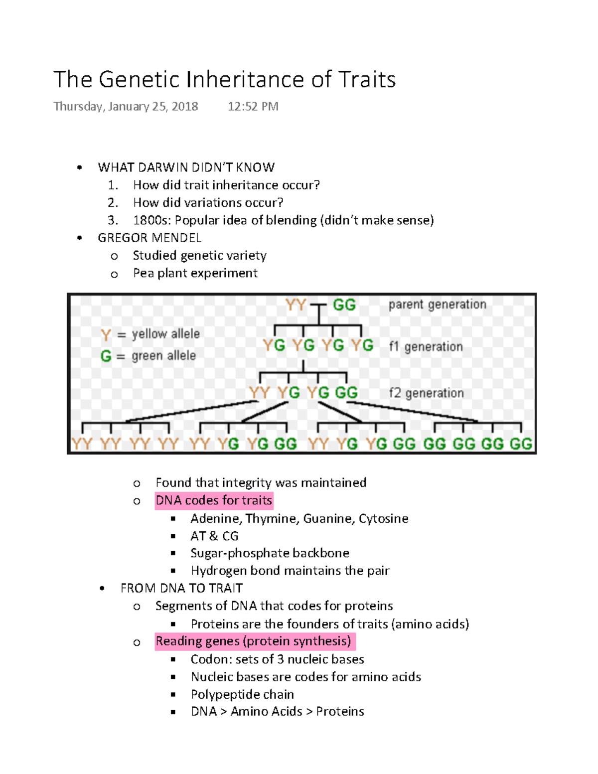 The Genetic Inheritance of Traits - The Genetic Inheritance of Traits ...
