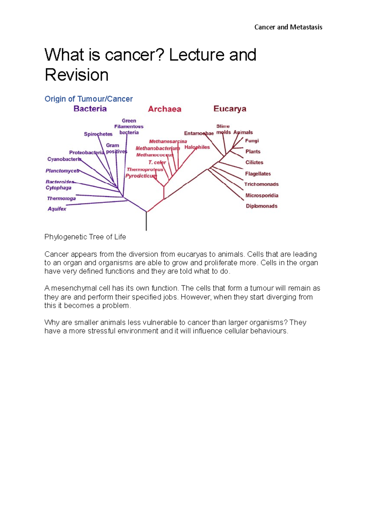 What is cancer Lecture and Revision - Cancer and Metastasis What is ...
