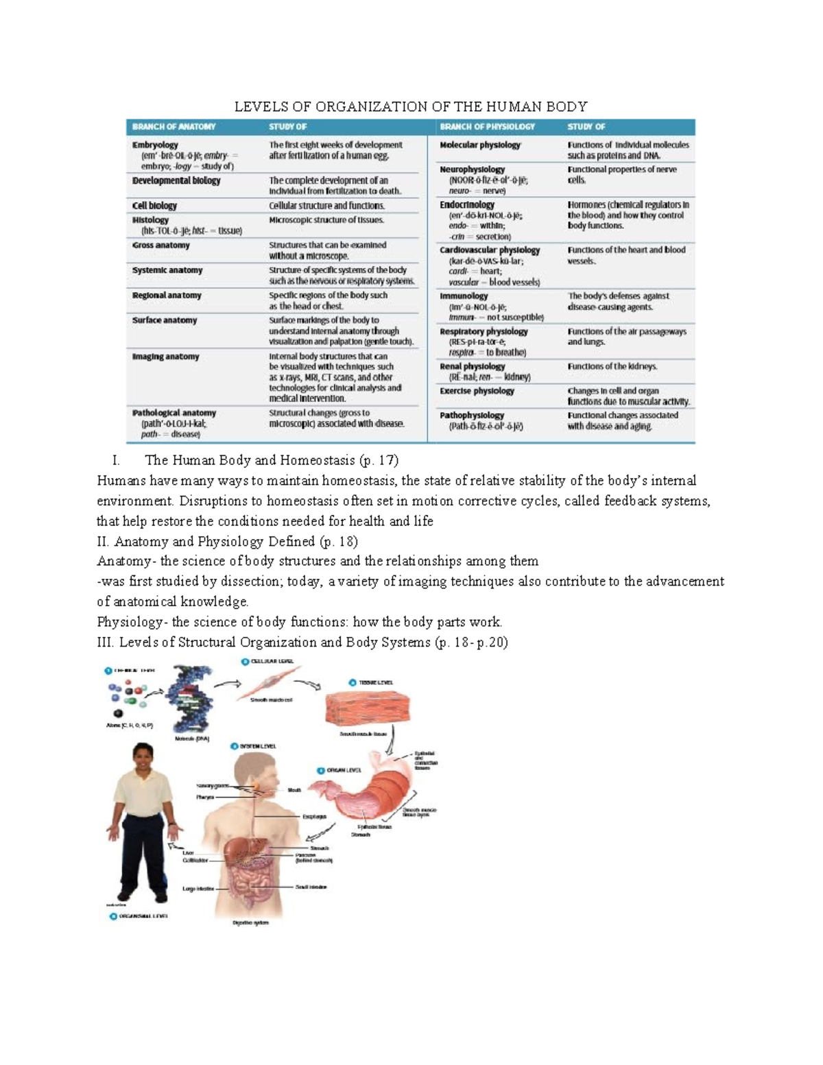 U1- Levels of Organization of the Human Body - LEVELS OF ORGANIZATION ...