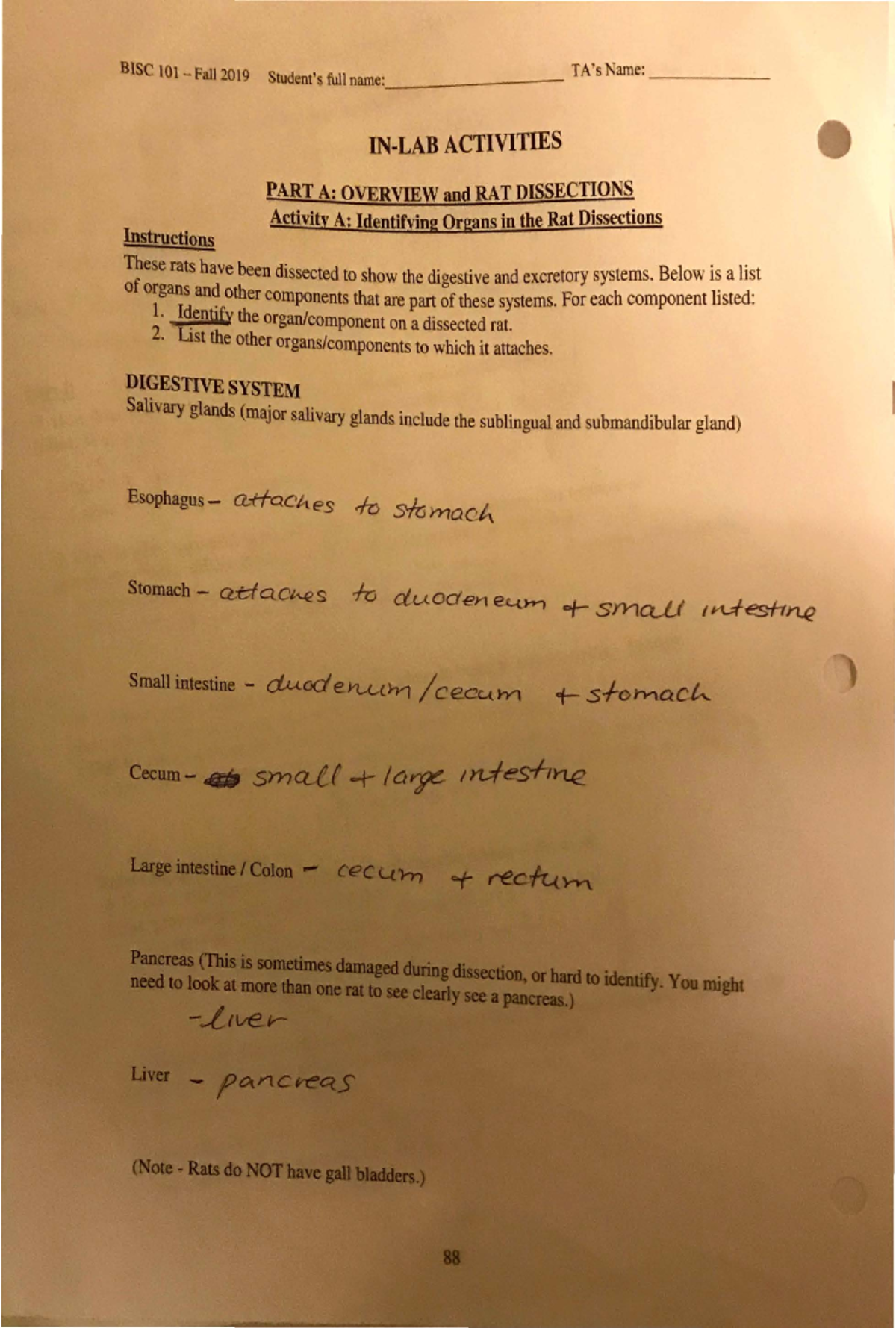 Digestion and excretion bisc 101 - BlSC 101 - Fall 2019 Student's full ...