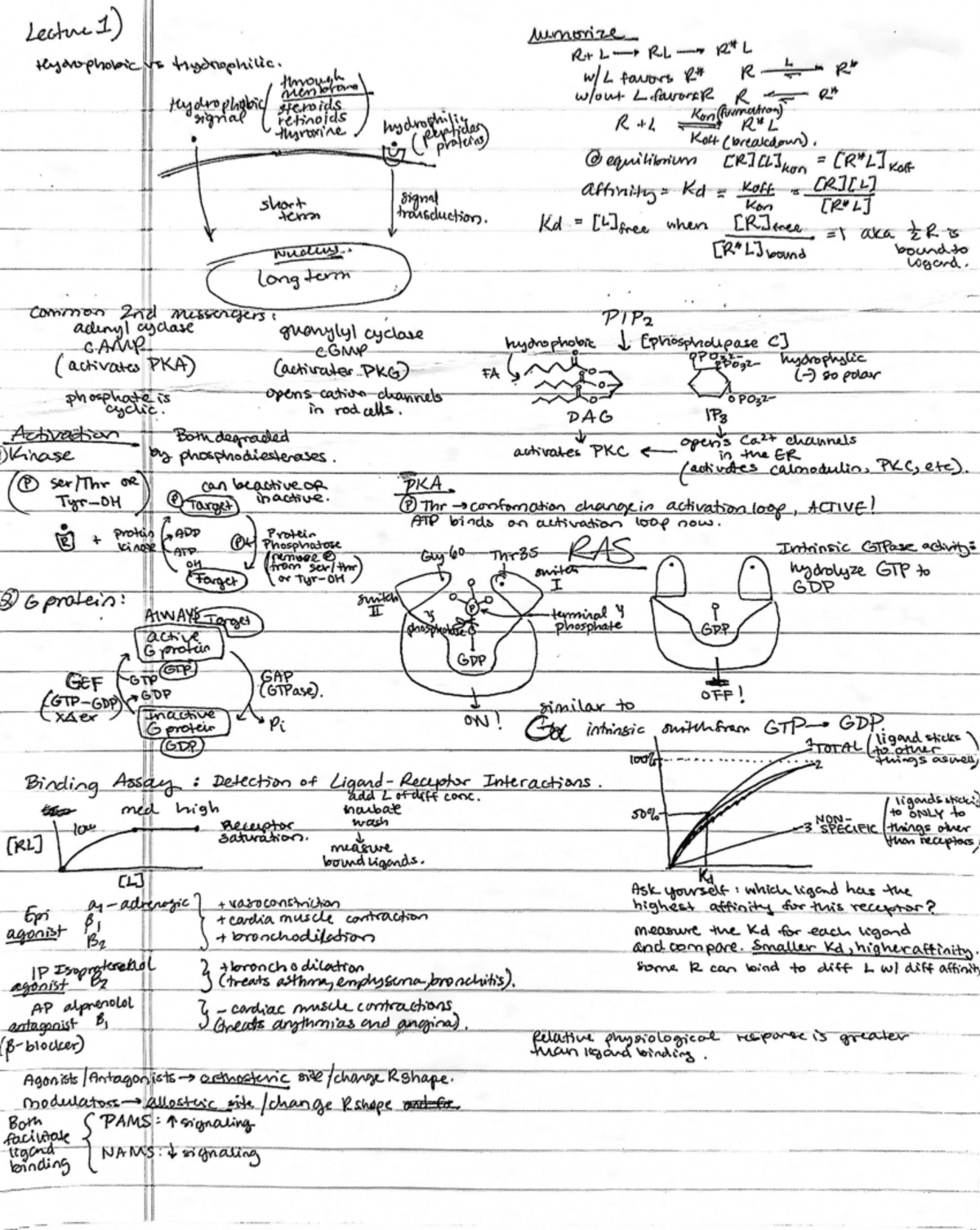 Module 2- RTK (3 pathways), CR (JAK/STAT) - 120:355 - Studocu