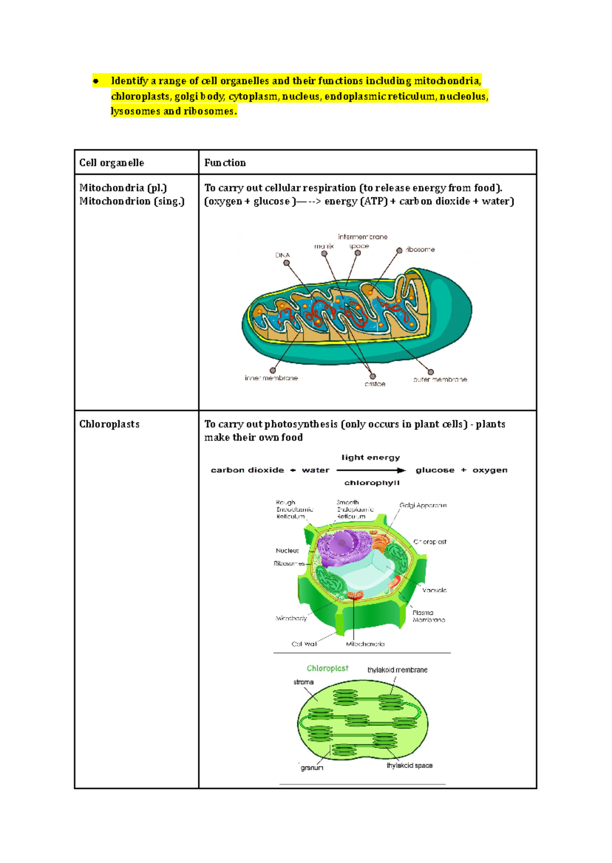 Biology module 1 notes - Identify a range of cell organelles and their ...