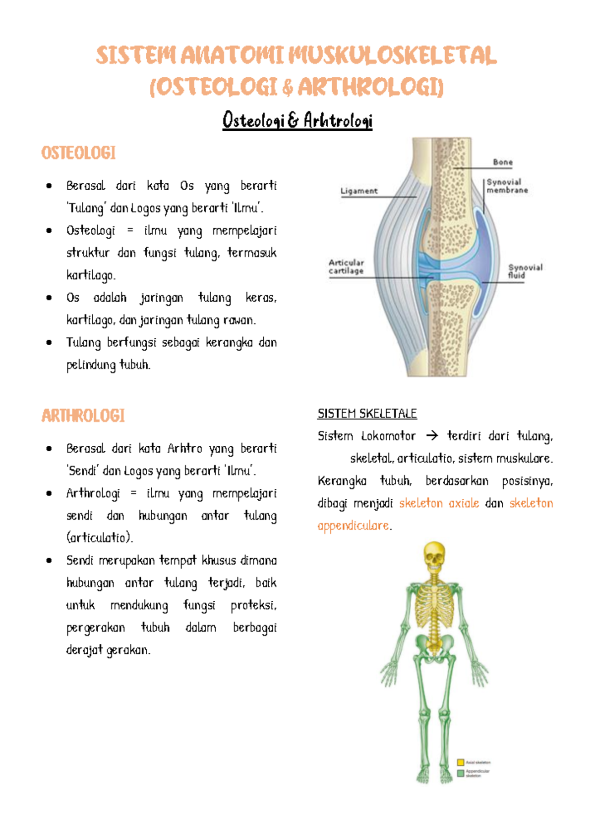 Anatomi - 7. Sistem Muskuloskeletal (Osteologi dan Arhtologi ...