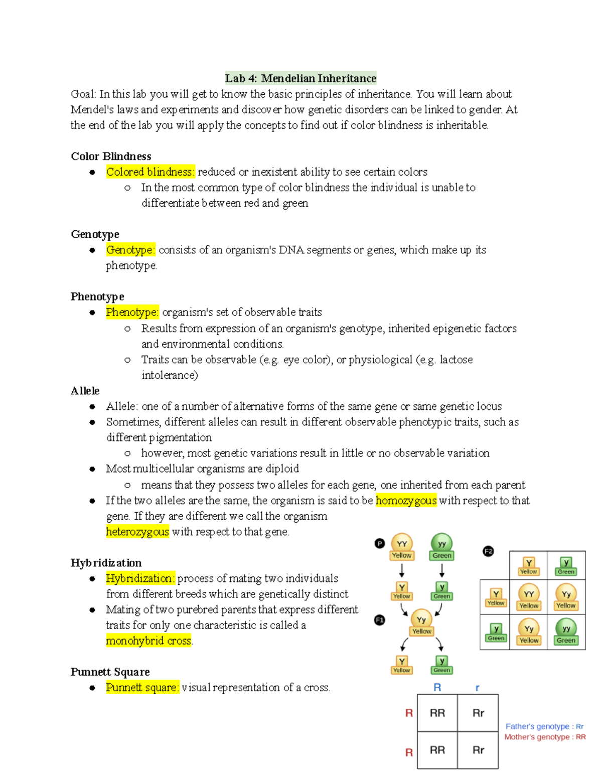 Lab 4 - lab 4 summary of each - Lab 4: Mendelian Inheritance Goal: In this lab you will get to ...