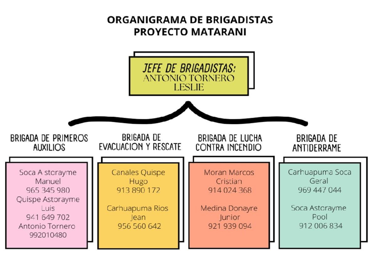 Esquema de brigadas - TAREA - ORGANIGRAMA DE BRIGADISTAS PROYECTO ...