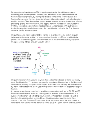 BI445 biomolecules - notes - Andrew flaus lectures notes L1 – protein ...