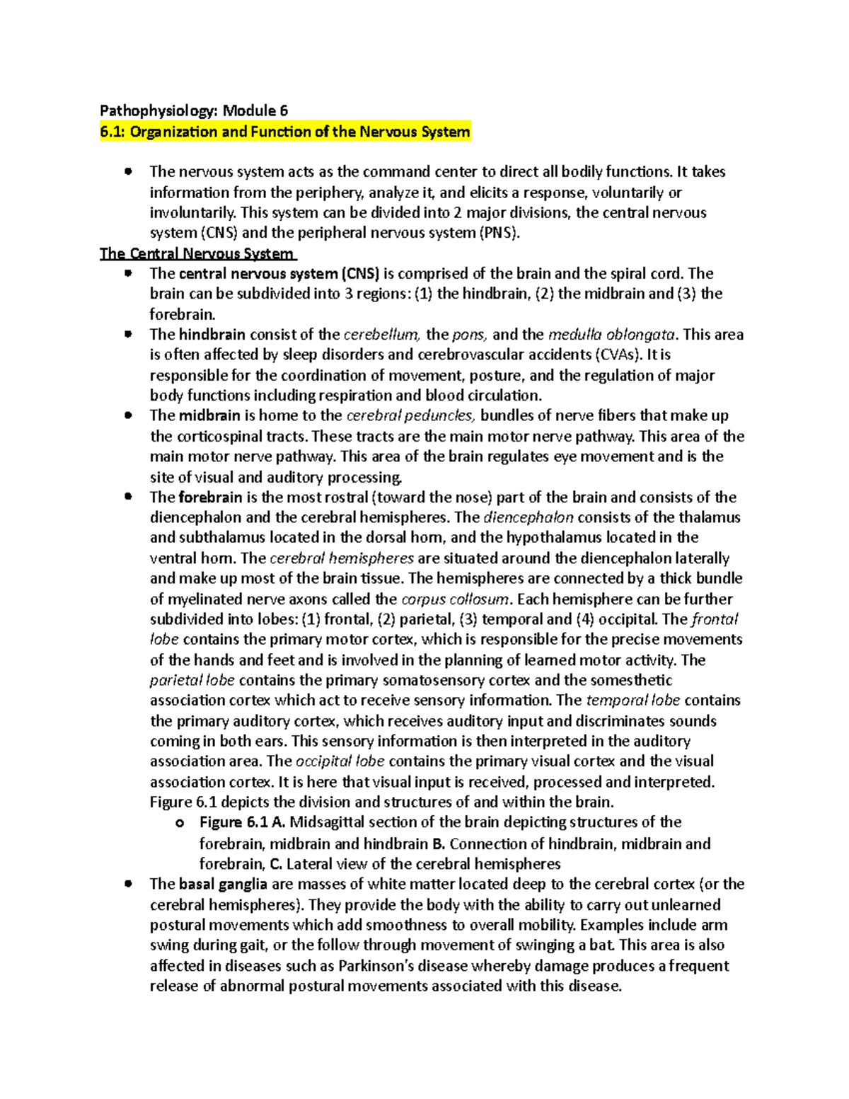 Pathophysiology - Module 6 - Pathophysiology: Module 6 6: Organization ...