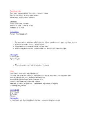 Anatomy chapters 20-28 - Chapter 20 Endocrine system Endocrine glands ...