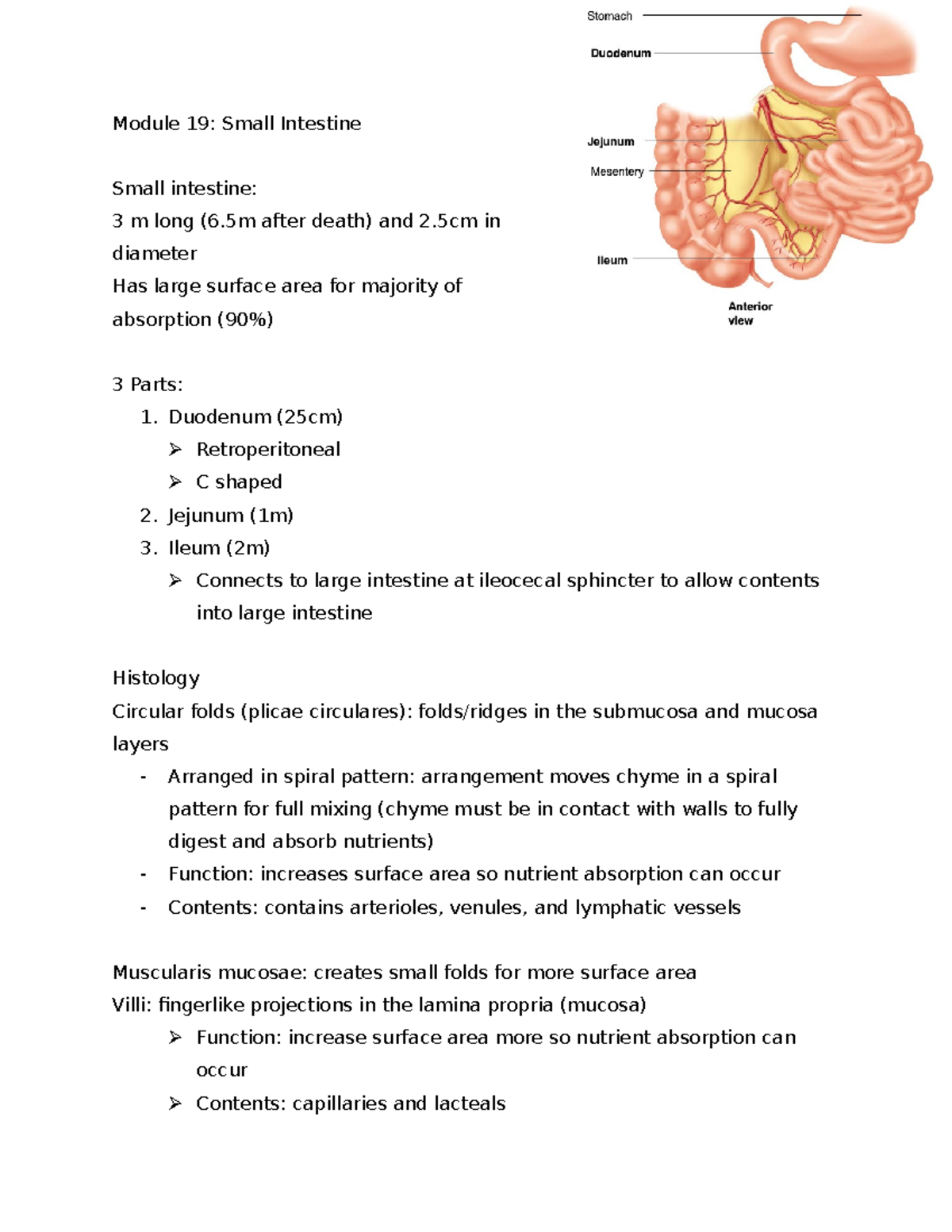 Module 19 kin 2yy3 - detailed mod 19 notes - Module 19: Small Intestine ...